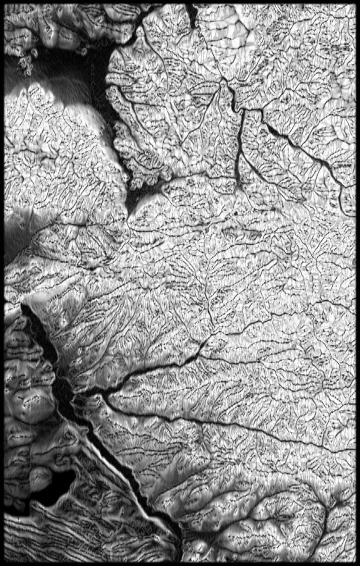 Mongolia High resolution 39k direct map Texture | CGTrader