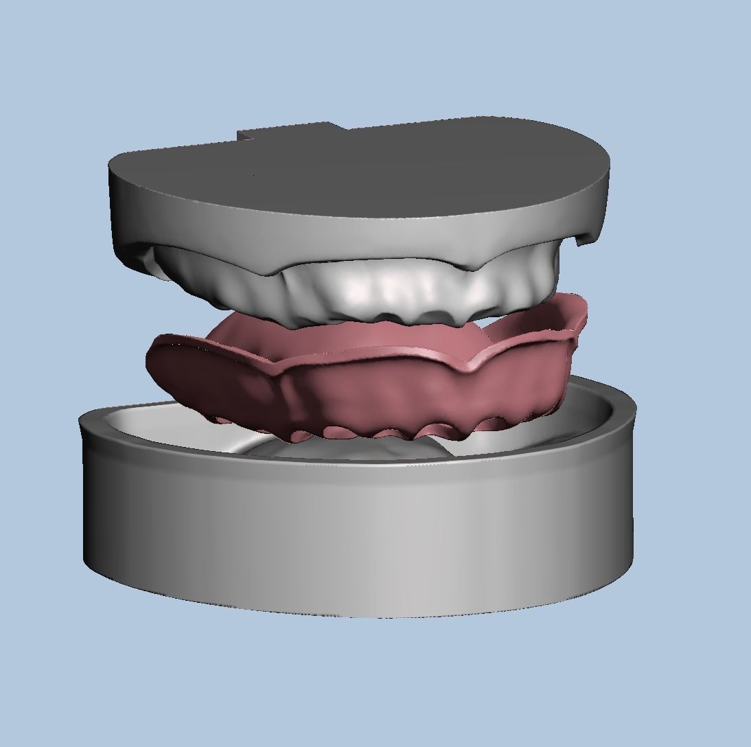Dental model Mold for making silicone gum 3D model 3D printable | CGTrader