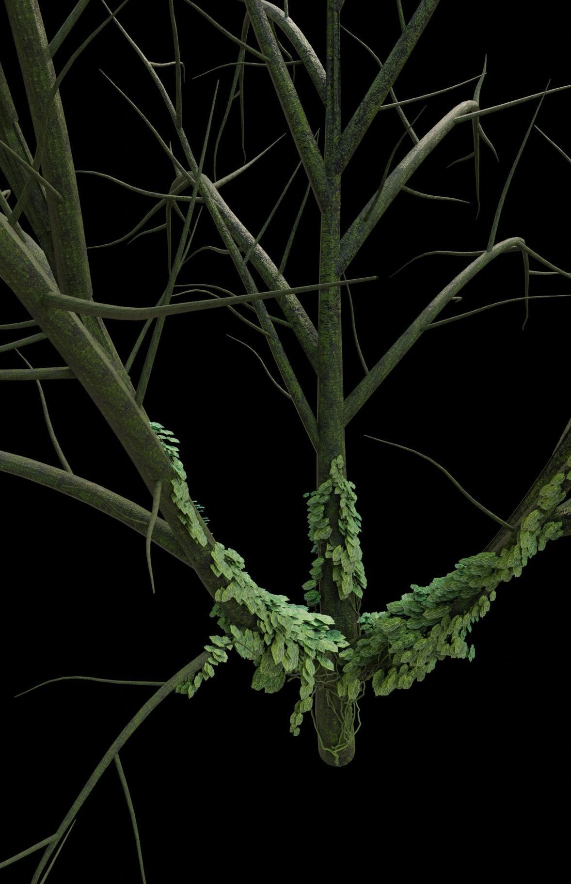 Jungle tree 3D model | CGTrader