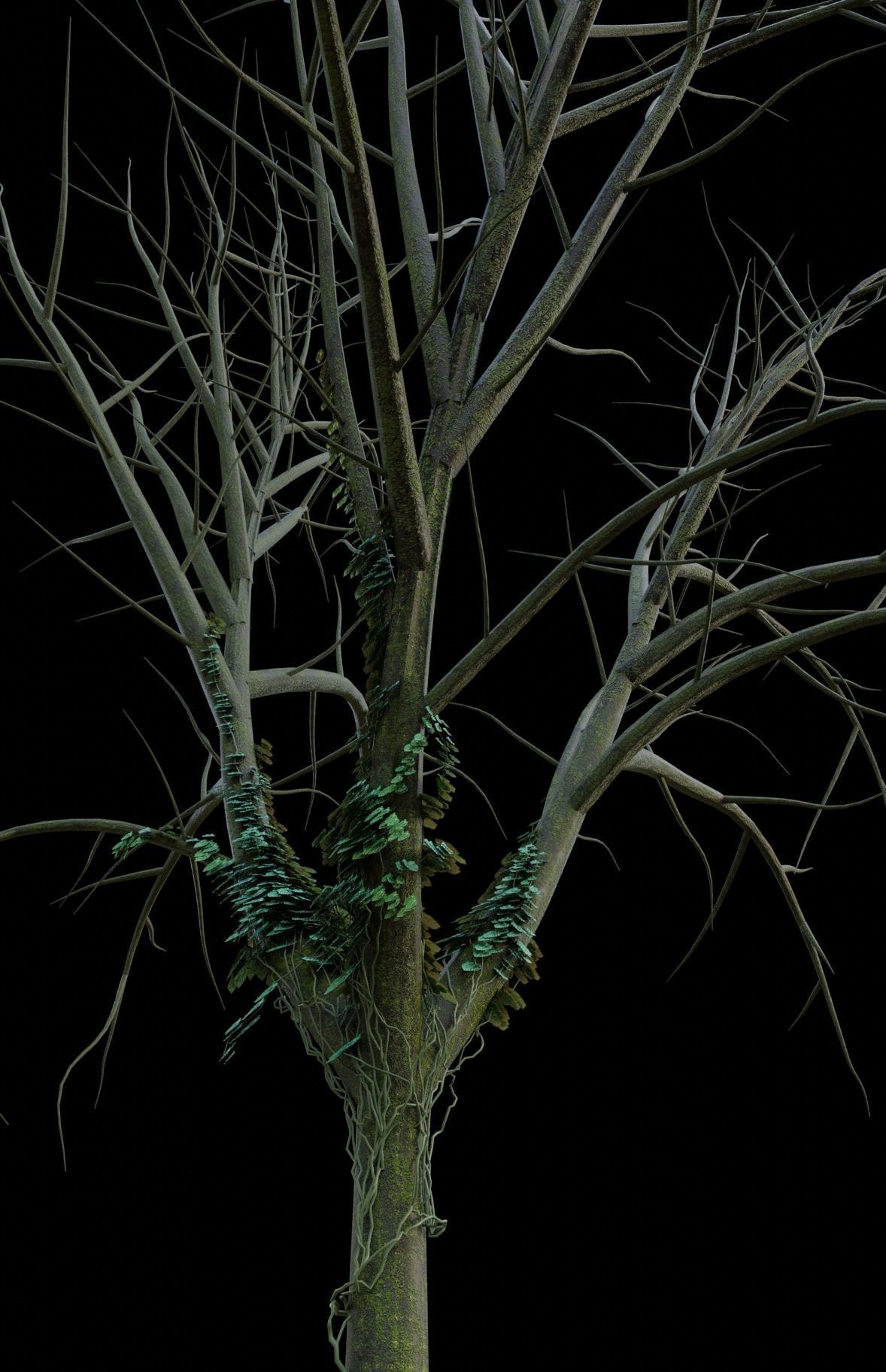 Jungle tree 3D model | CGTrader