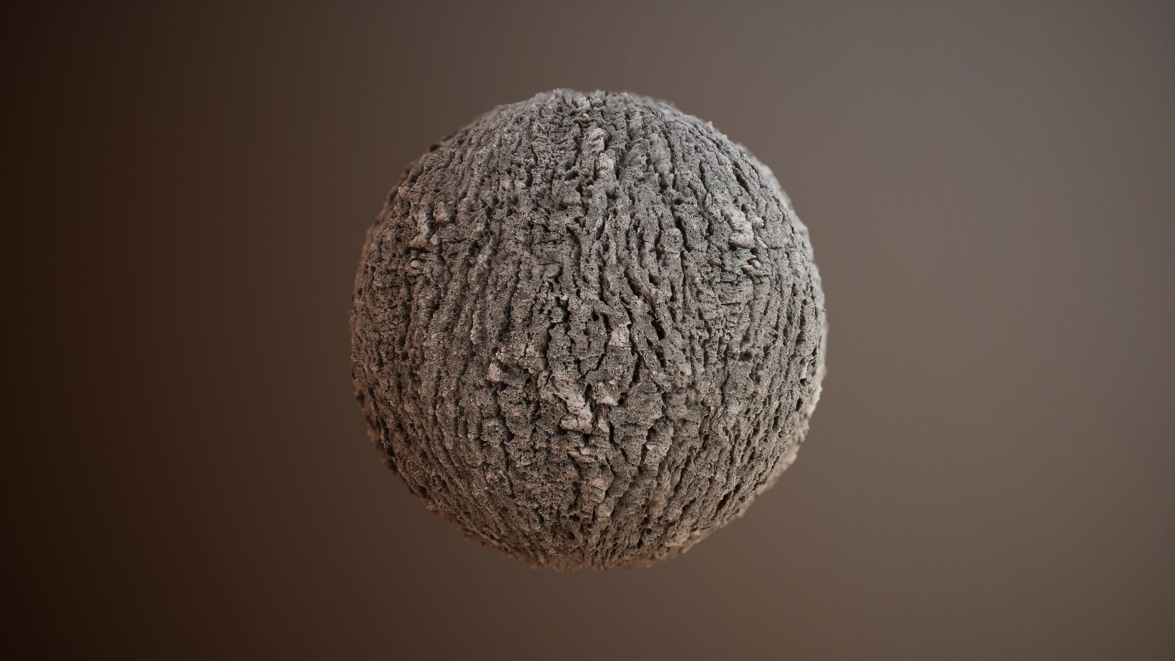 15 Tree Bark PBR Textures free Texture | CGTrader