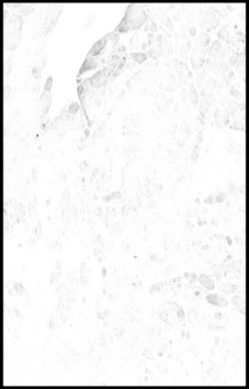 Denmark High resolution 7k cavity map Texture | CGTrader