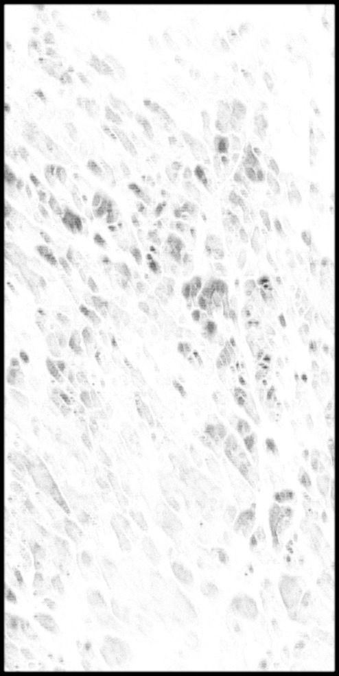 Sweden High resolution 26k cavity map Texture | CGTrader