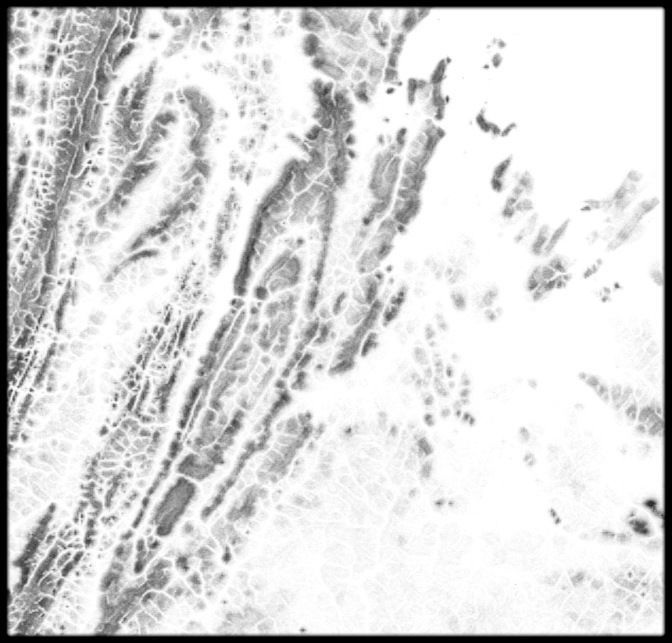 Burundi High resolution 4k cavity map Texture | CGTrader