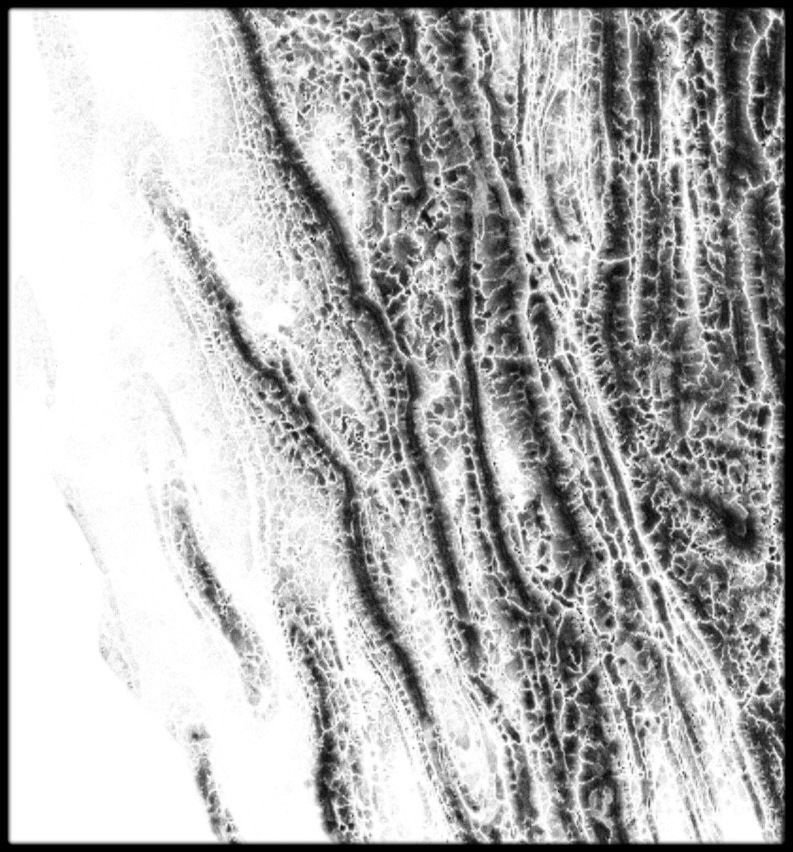 Bangladesh High resolution 11k cavity map Texture | CGTrader