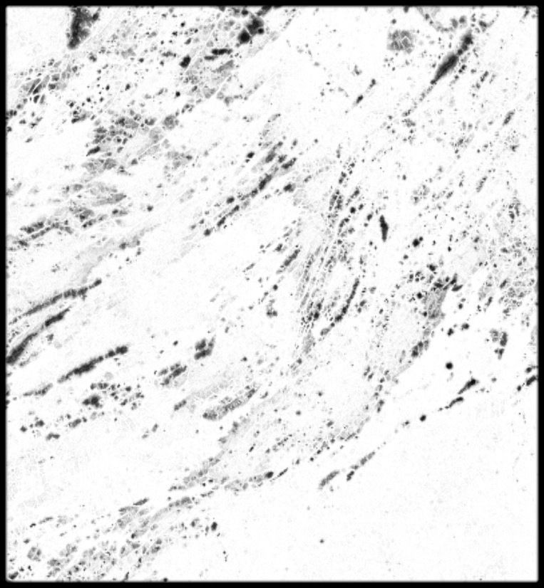 Liberia High resolution 8k cavity map Texture | CGTrader