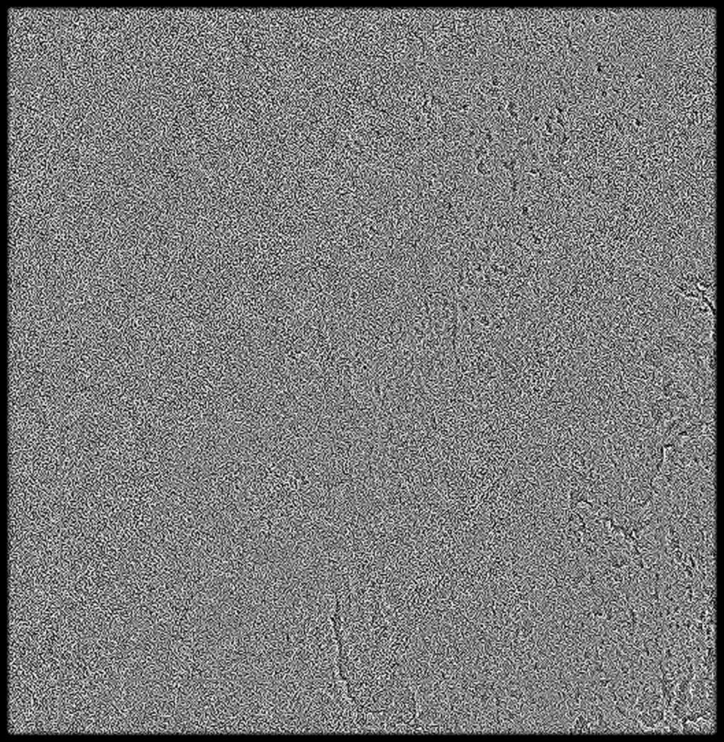 Somalia High resolution 26k curvature map Texture | CGTrader