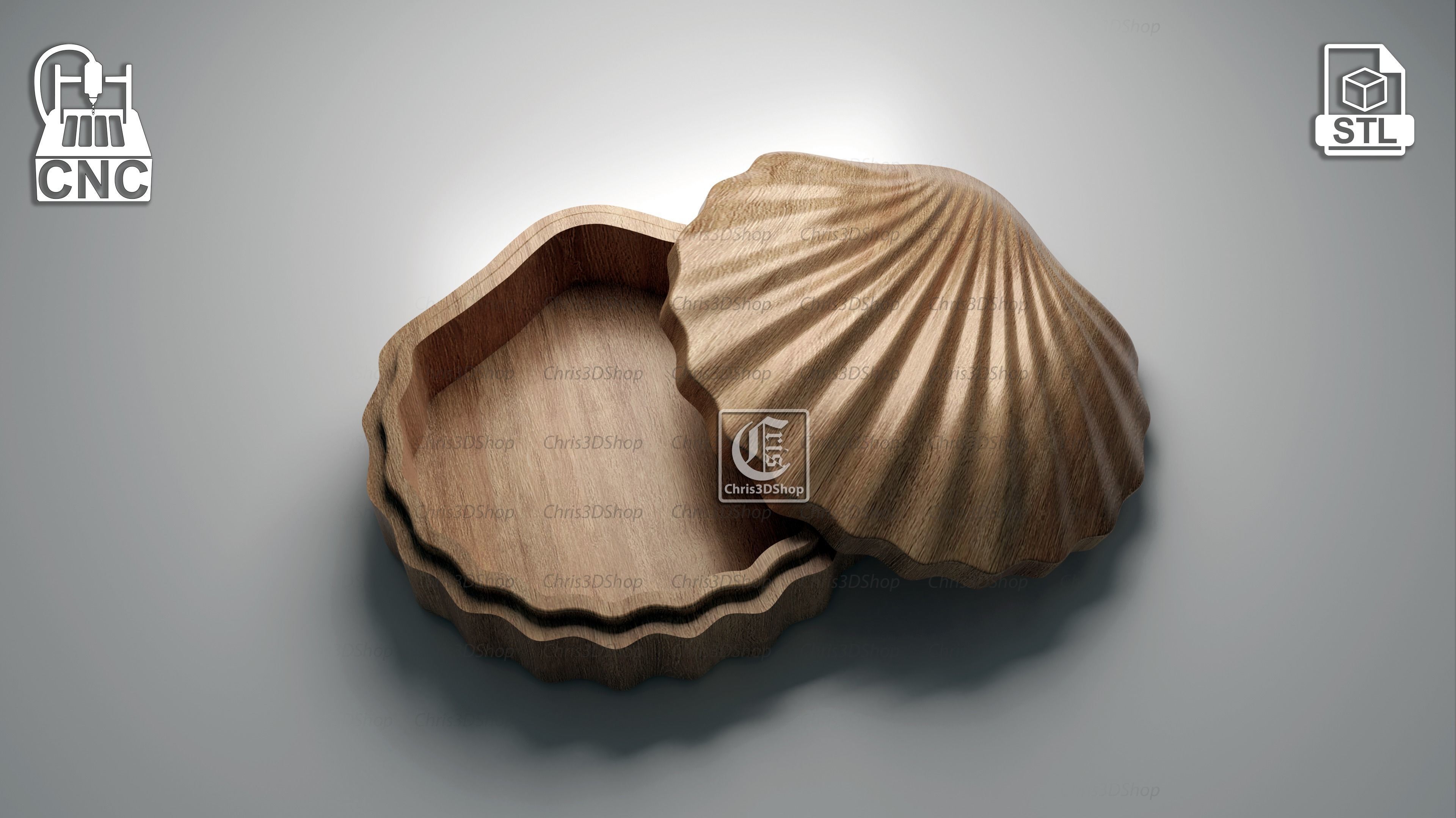 Sea Shell Jewelry Box -3D STL for CNC and 3D Printer 3D model 3D ...