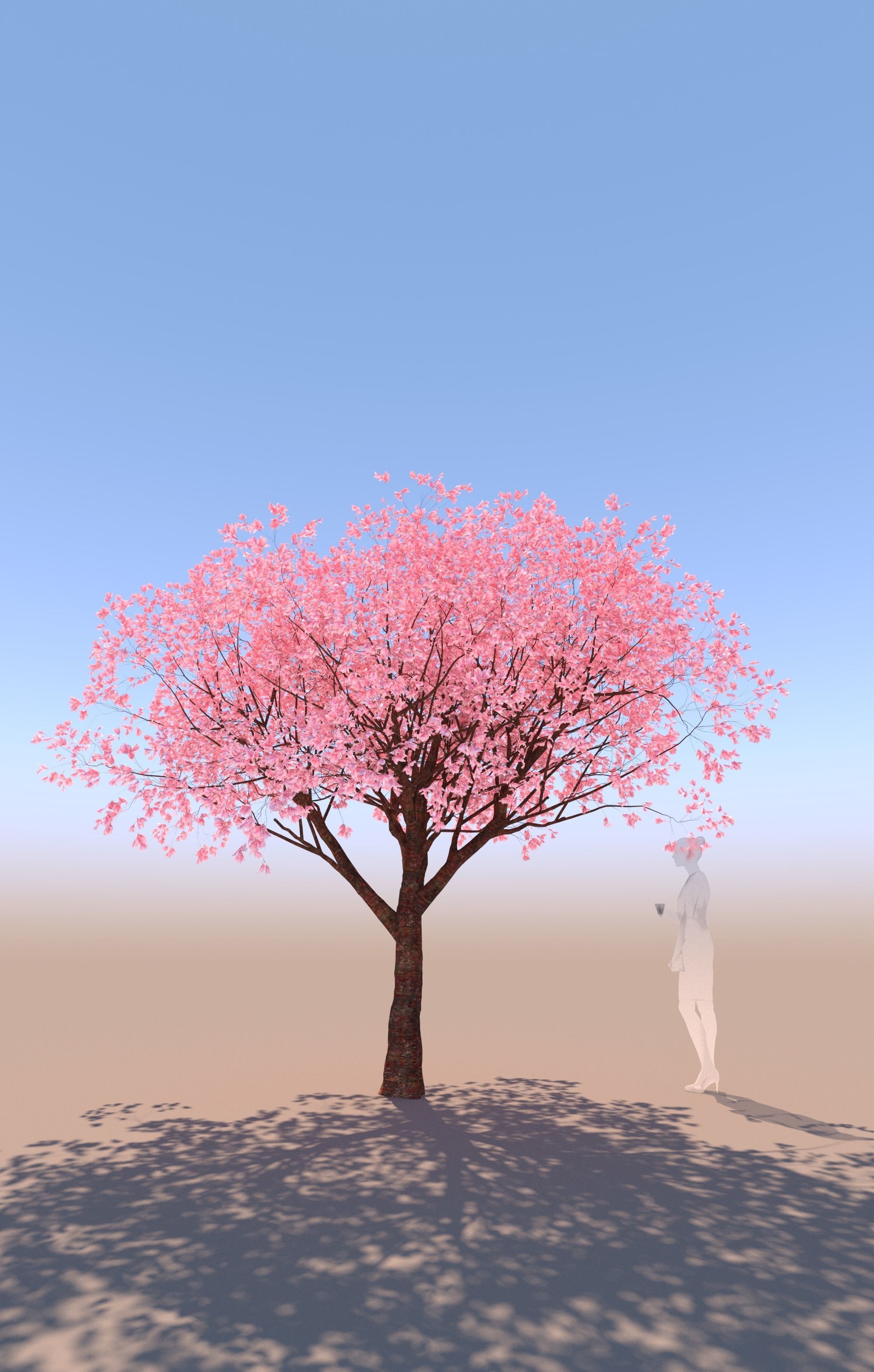 Flowering cherry tree prunus avium D 3D model | CGTrader