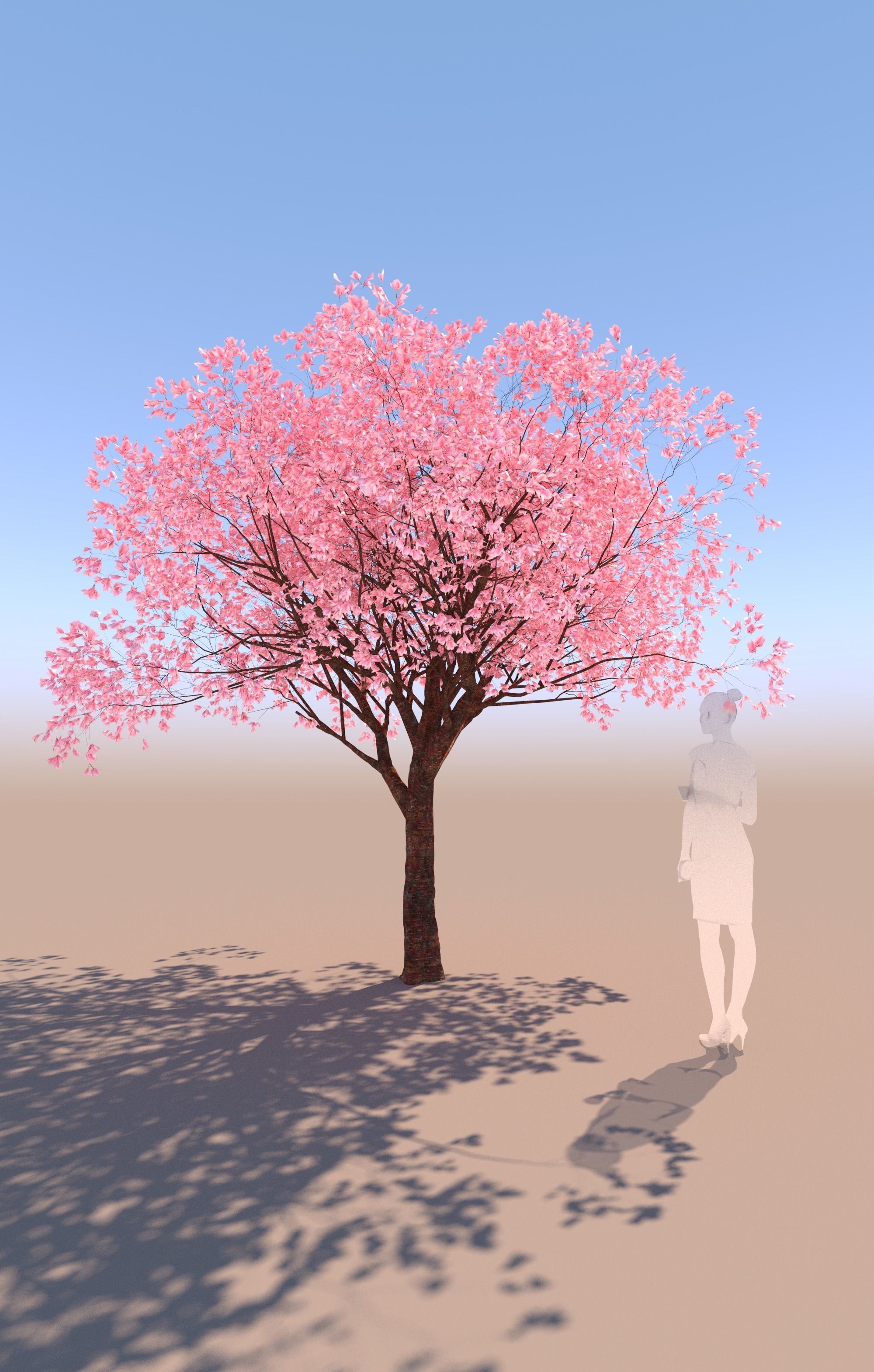 Flowering cherry tree prunus avium D 3D model | CGTrader