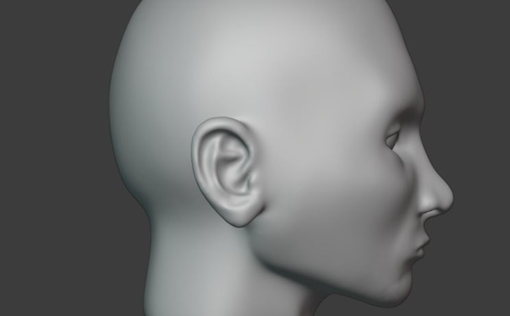 Head 3D Model human free 3D model | CGTrader