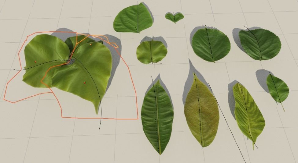 3D model Leaf realistic pack Vol 01 VR / AR / low-poly | CGTrader