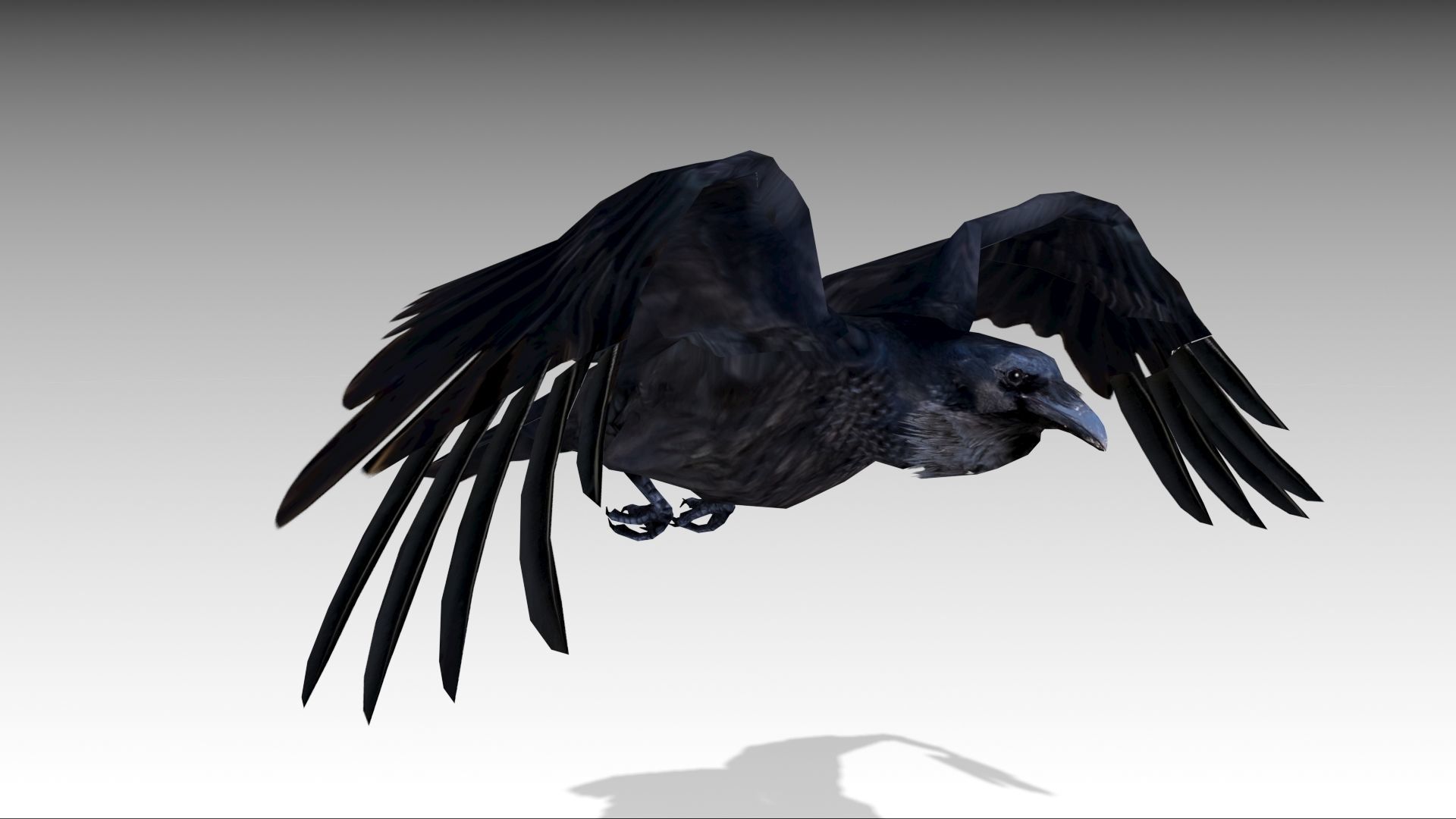 3D model Raven VR / AR / low-poly rigged animated | CGTrader