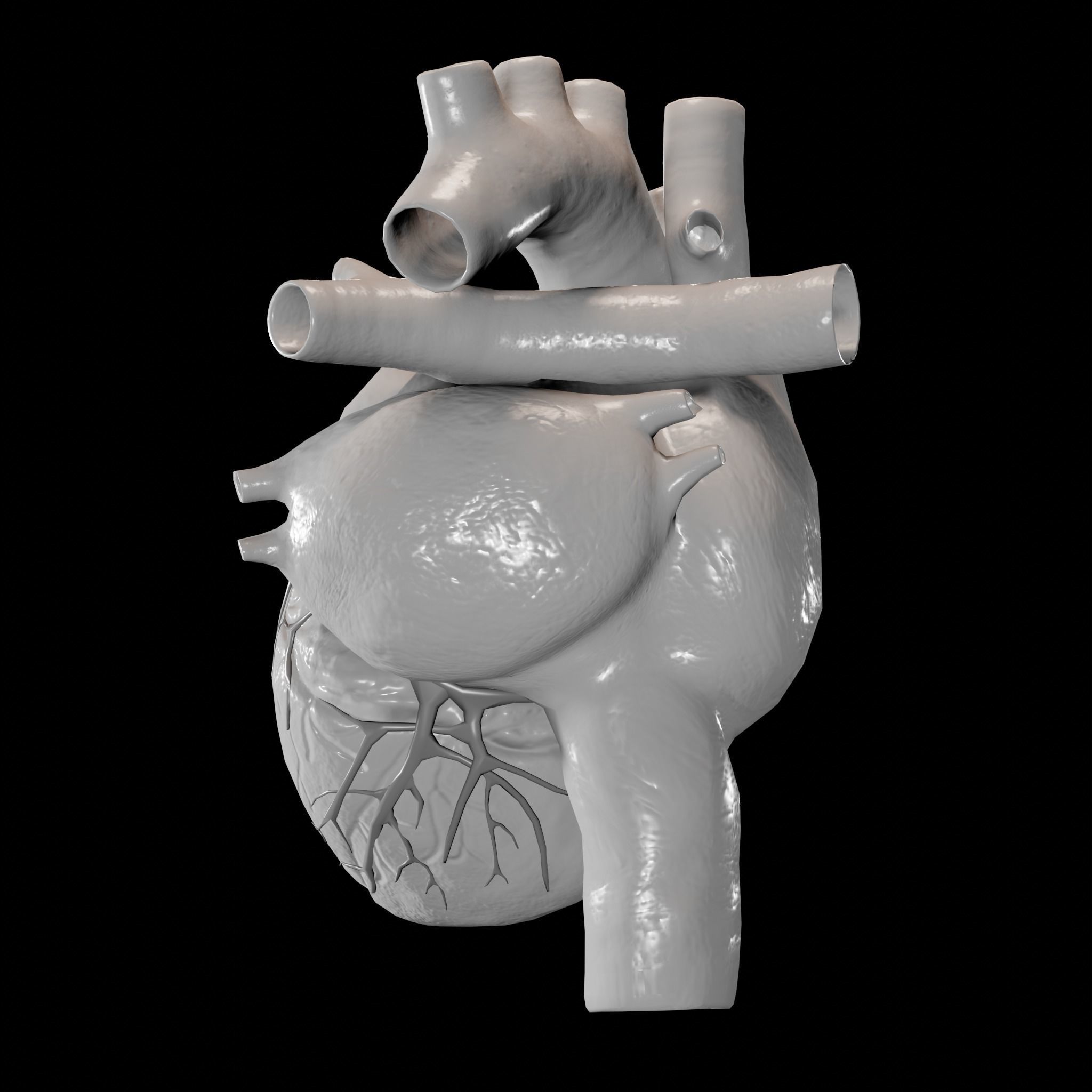 3D model Animated human heart VR / AR / low-poly | CGTrader