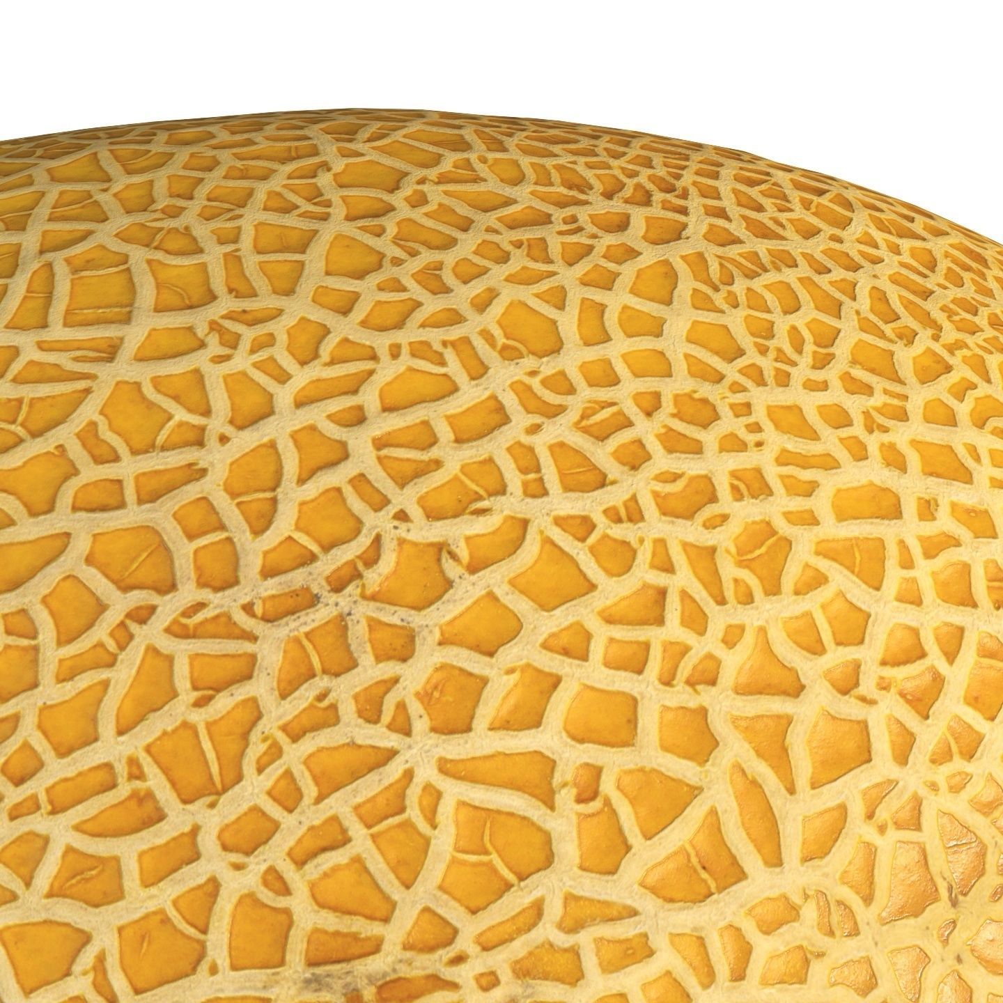 4k Melon 3D model | CGTrader