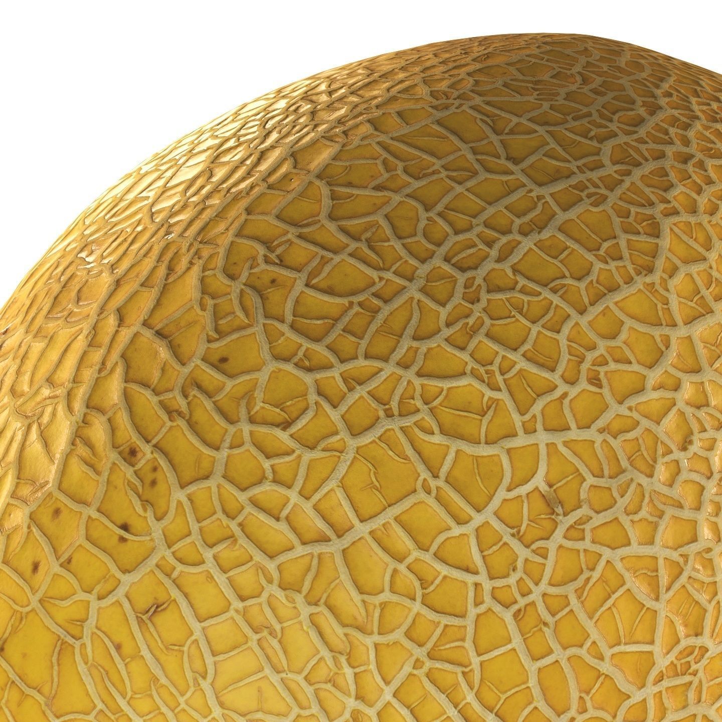 4k Melon 3D model | CGTrader