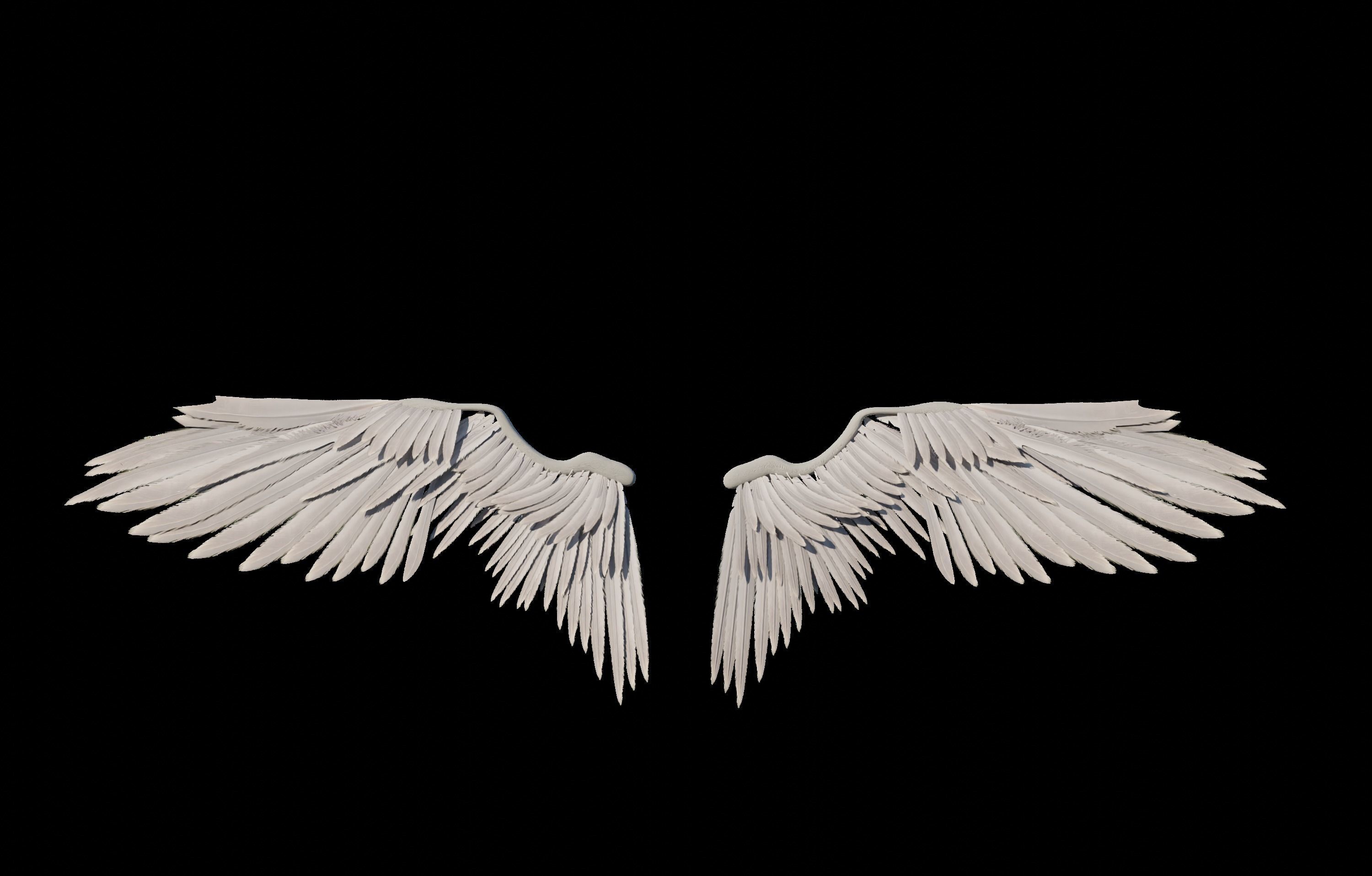Angel Wings Rig 3D model rigged | CGTrader