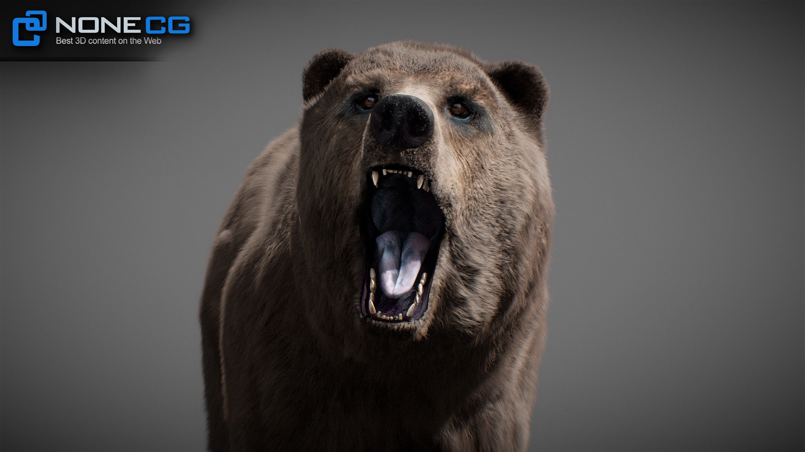 Animated Bear 3D model animated rigged | CGTrader