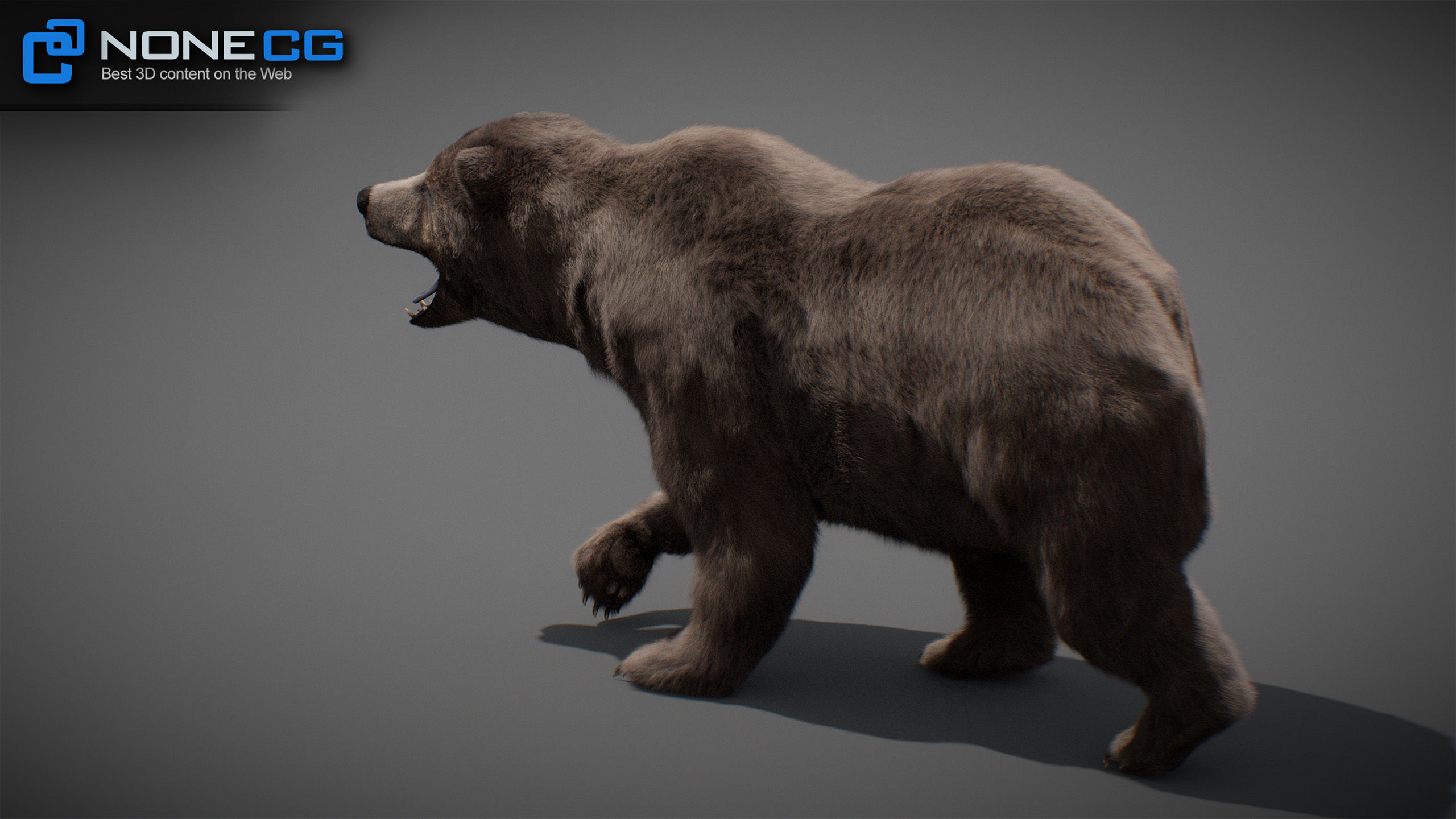 Animated Bear 3D model animated rigged | CGTrader