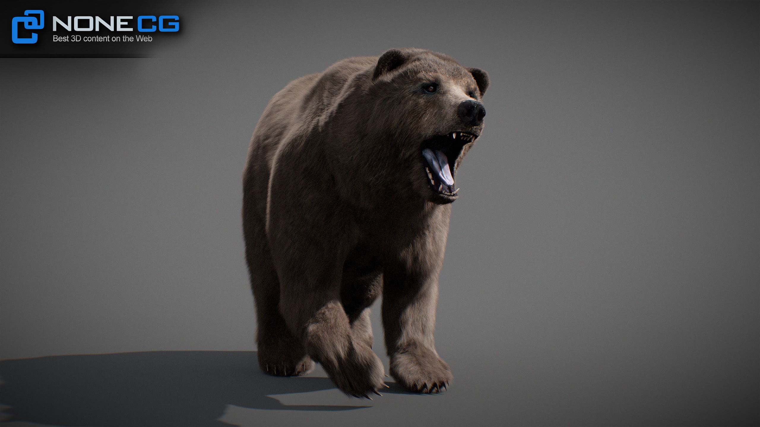 Animated Bear 3D model animated rigged | CGTrader