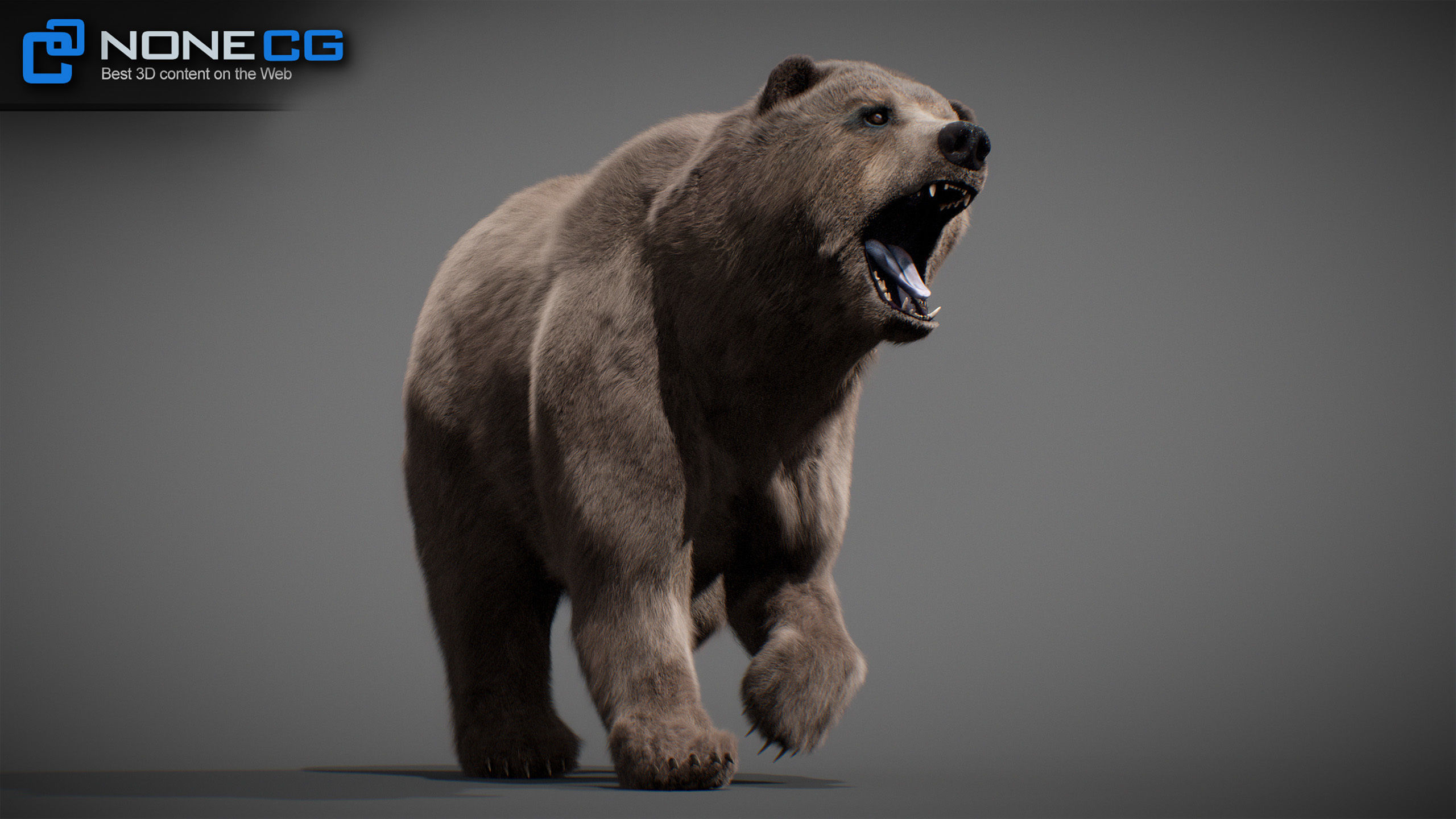 Animated Bear 3D model animated rigged | CGTrader