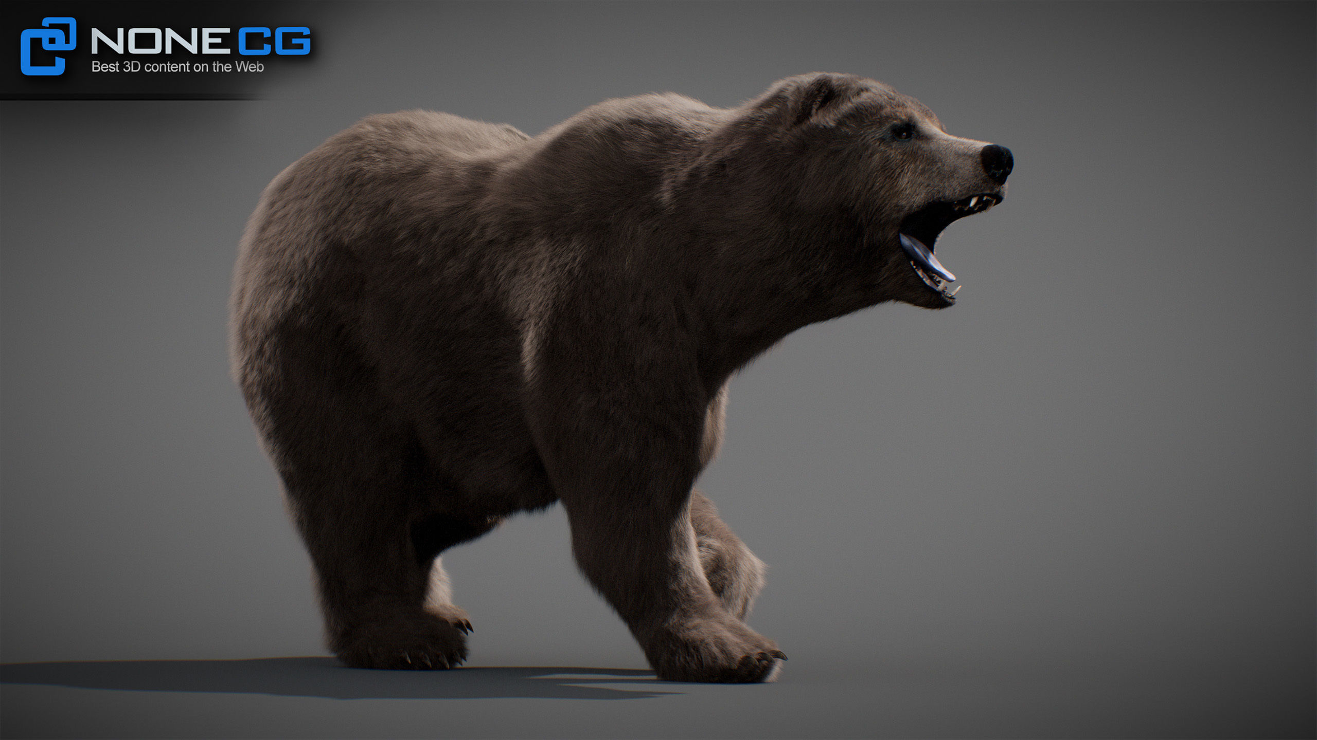 Animated Bear 3D model animated rigged | CGTrader