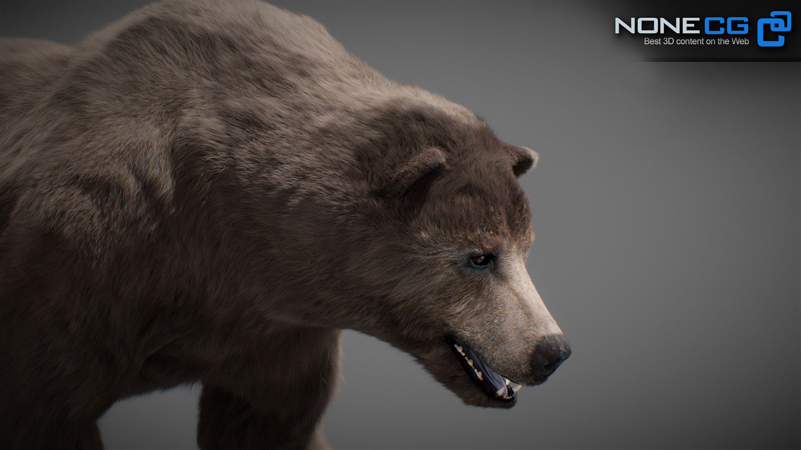 Animated Bear 3D model animated rigged | CGTrader