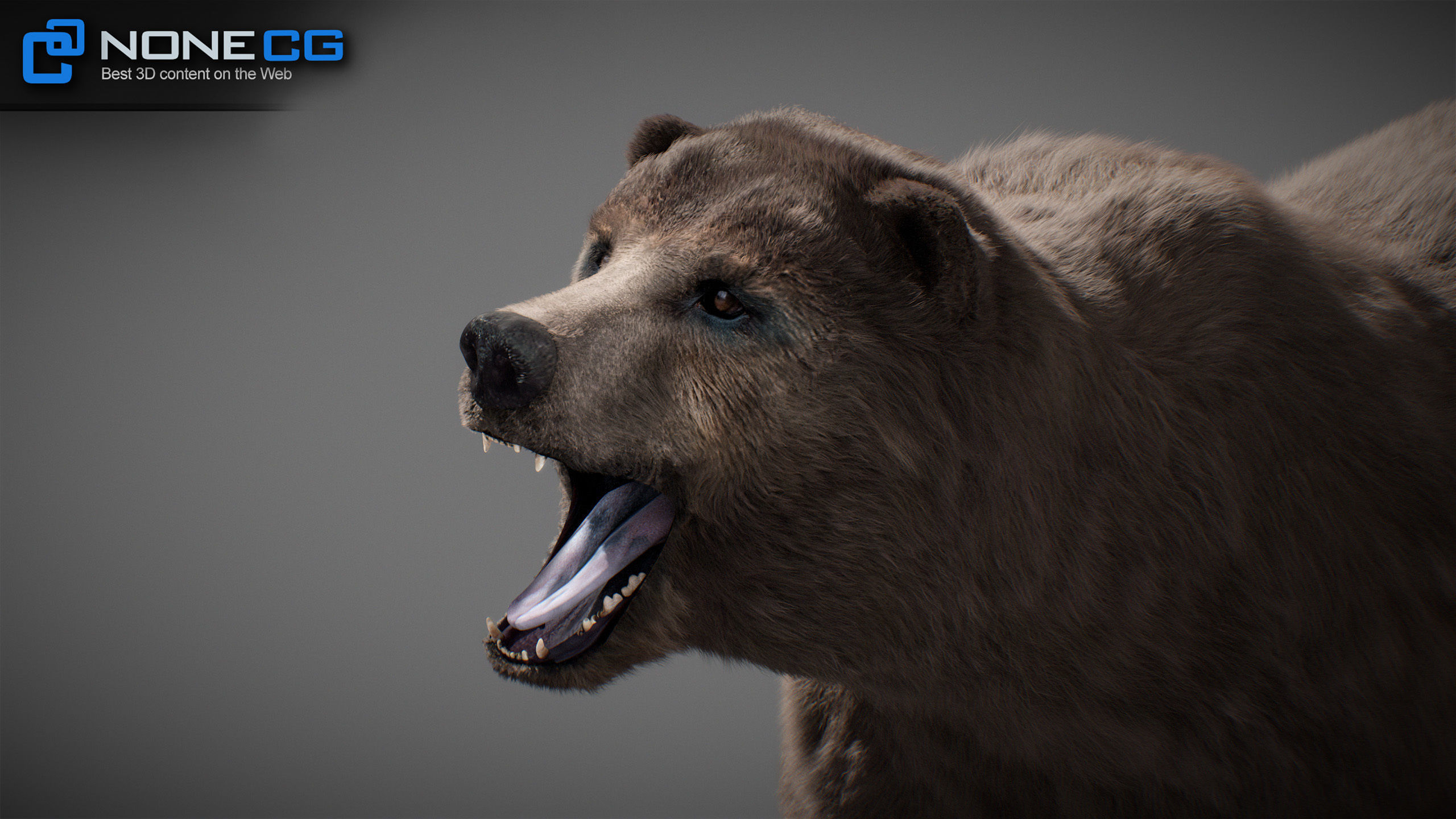 Animated Bear 3D model animated rigged | CGTrader