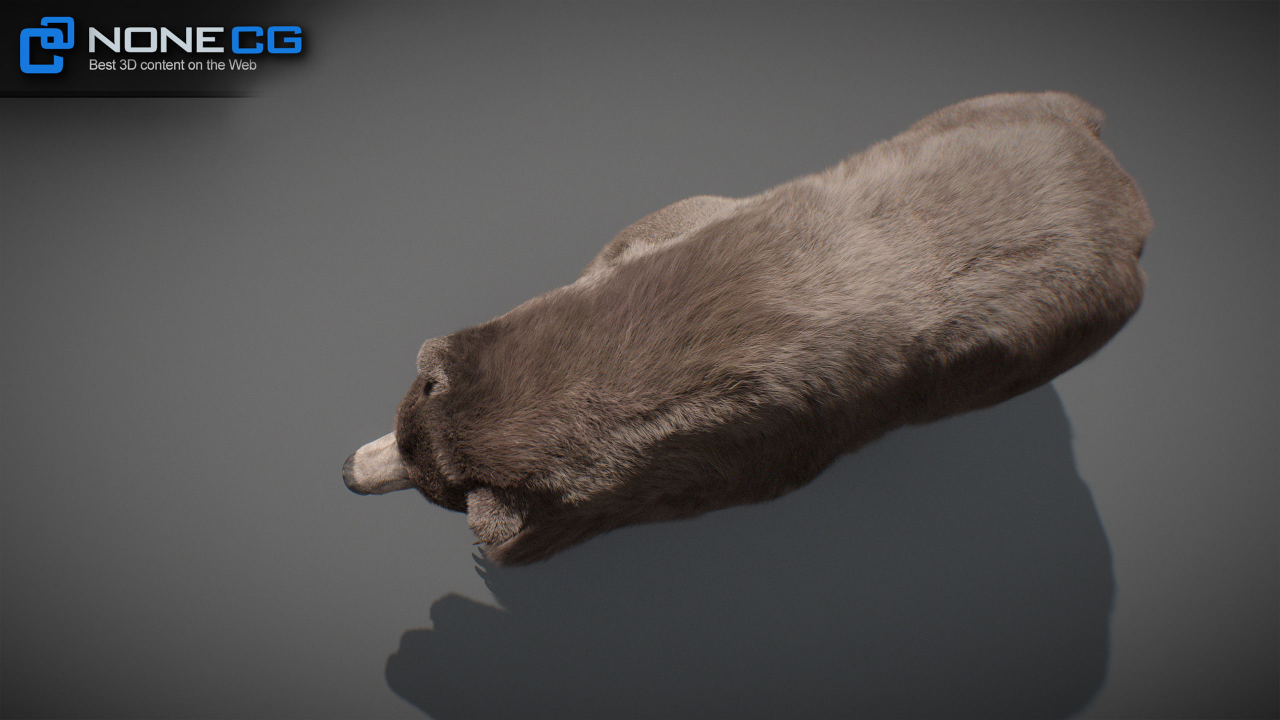 Animated Bear 3D model animated rigged | CGTrader