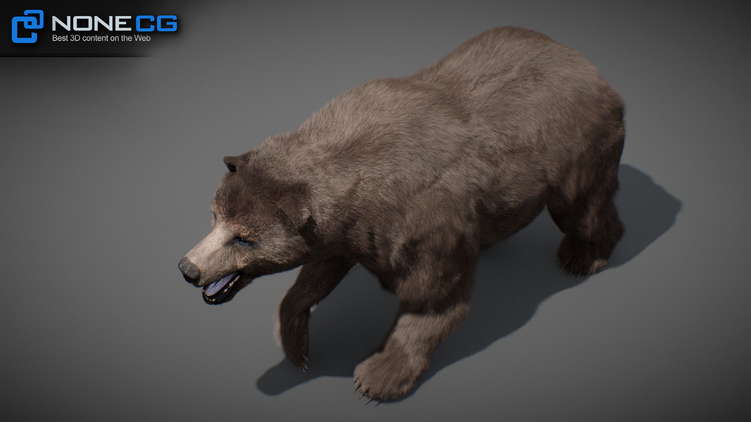 Animated Bear 3D model animated rigged | CGTrader