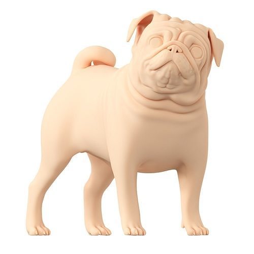 Pug dog 3D model 3D printable | CGTrader