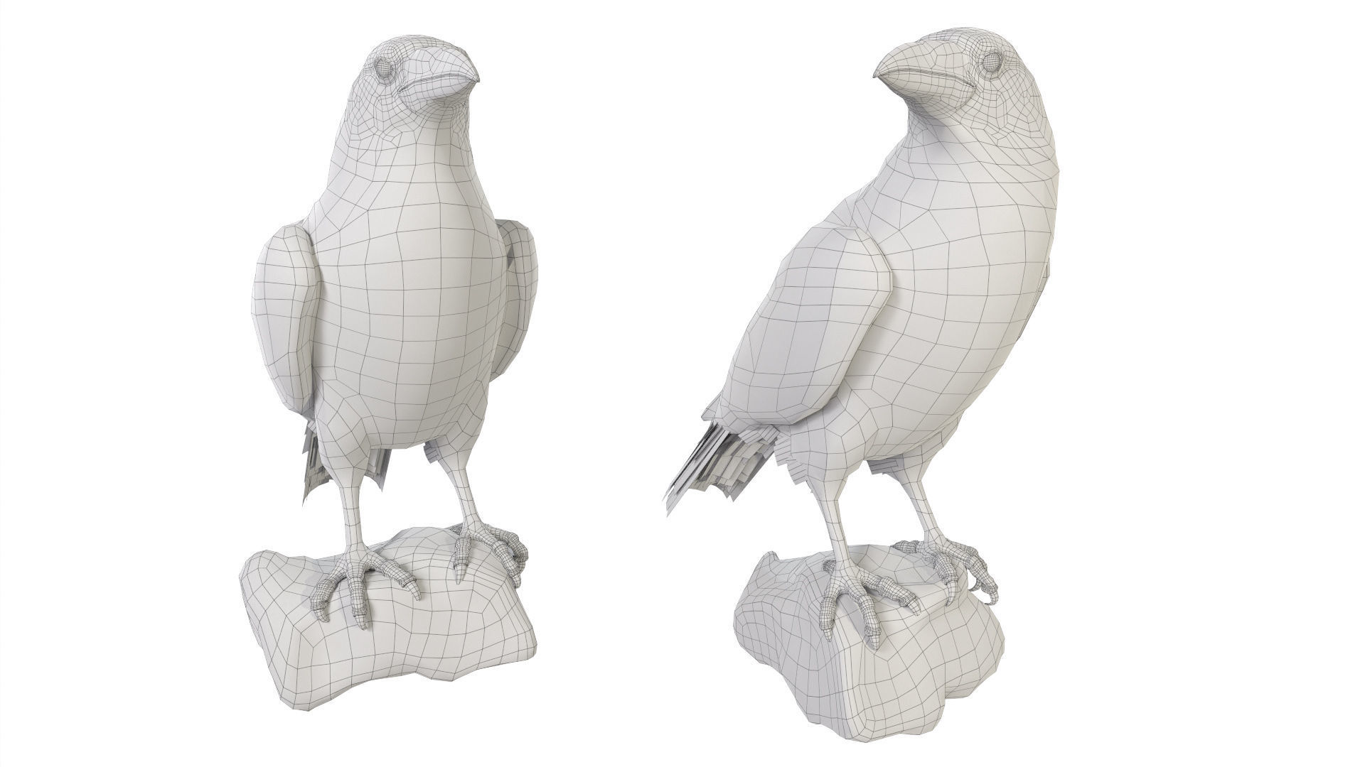 Hooded Crow 3D model | CGTrader