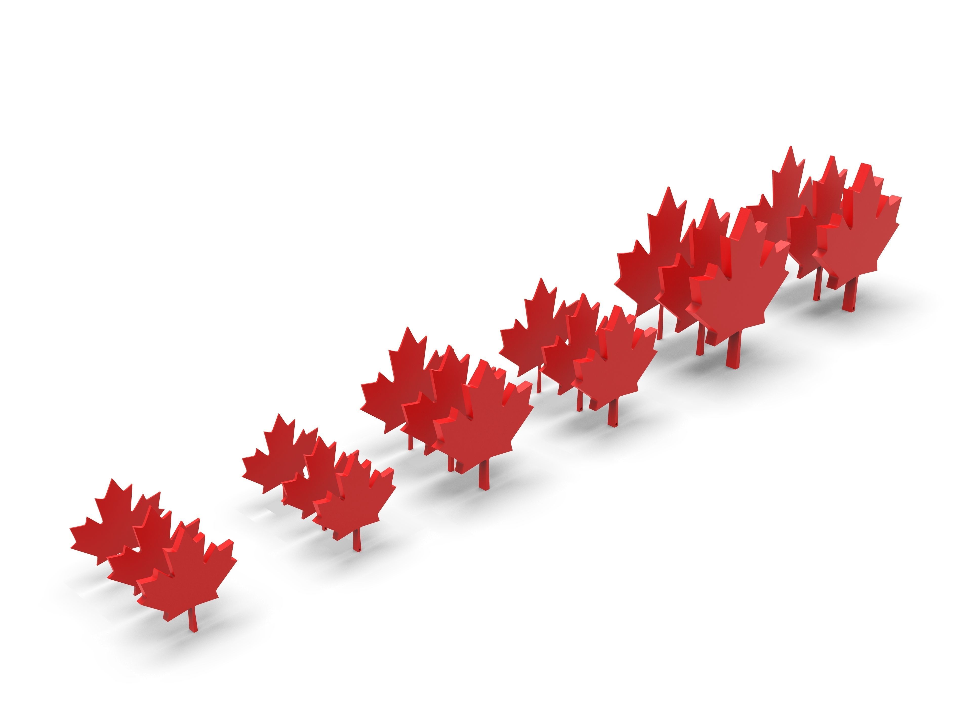 Canadian maple leaf 3D model | CGTrader