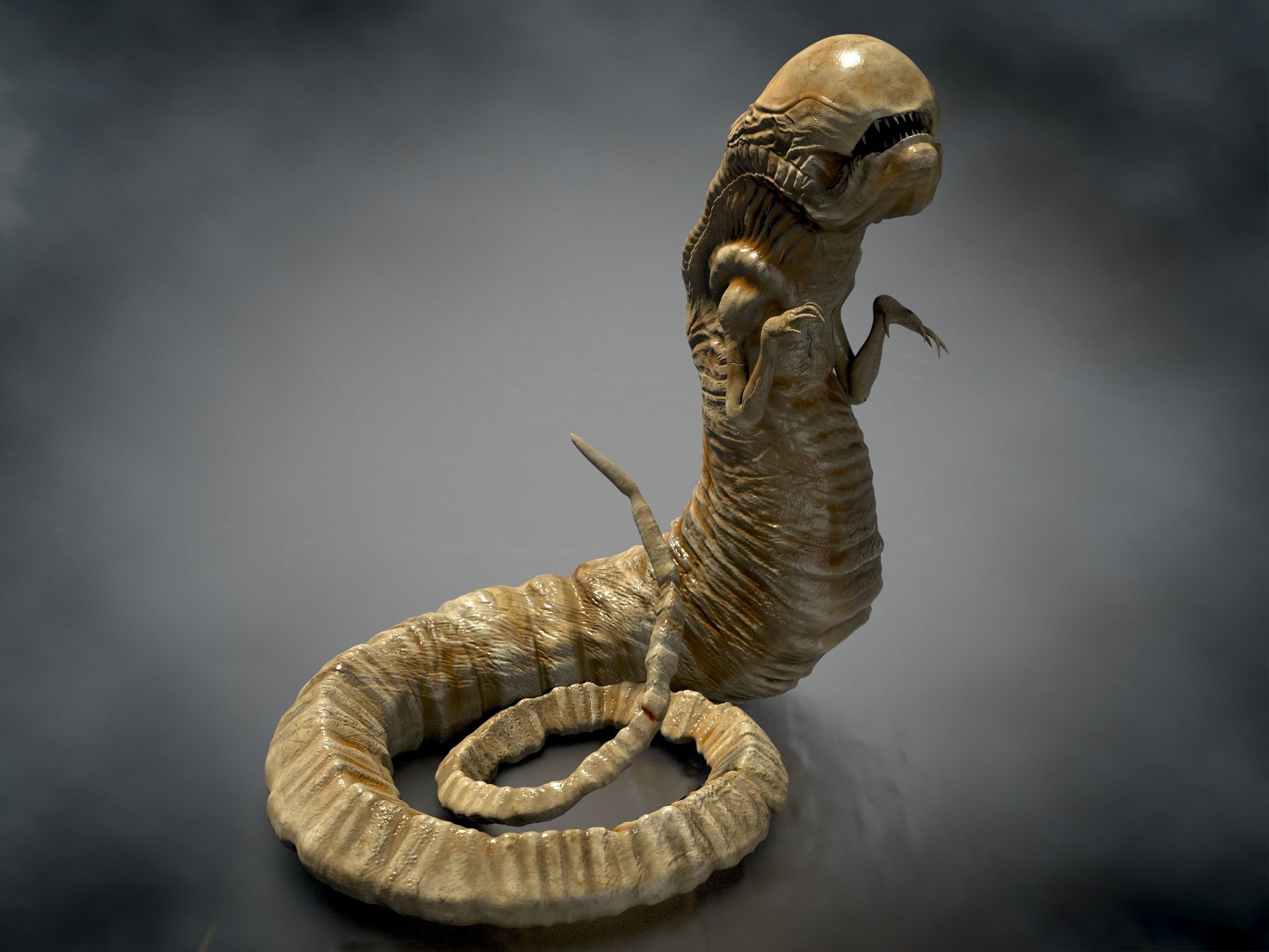 3D model Chestburster VR / AR / low-poly rigged | CGTrader