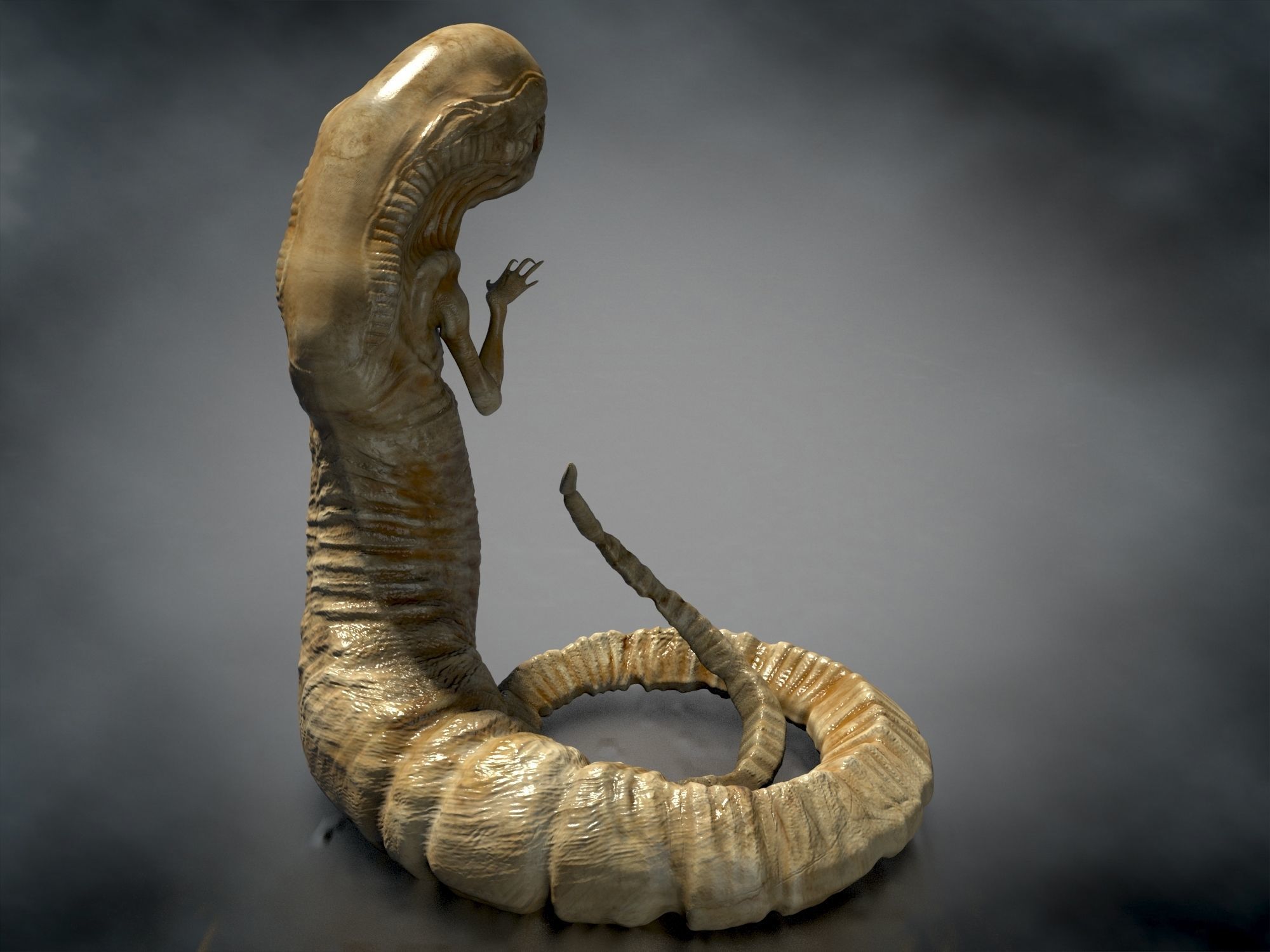 3D model Chestburster VR / AR / low-poly rigged | CGTrader