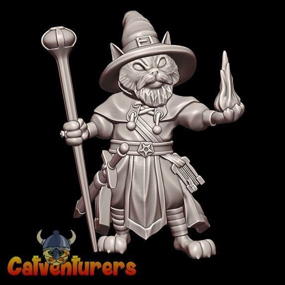 Cat Wizard 3D model 3D printable | CGTrader