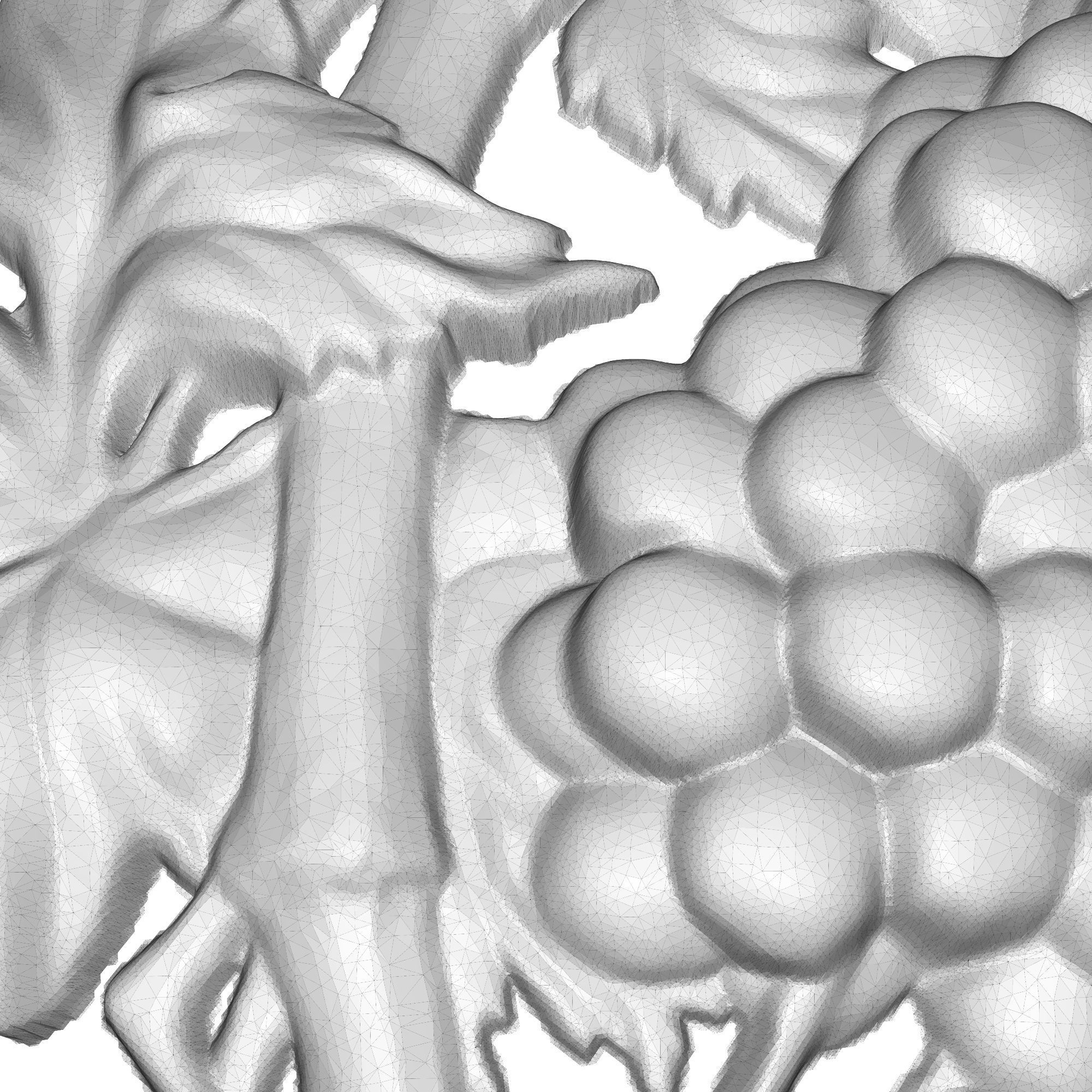 decorative pattern ready for 3D printing 3D model | CGTrader