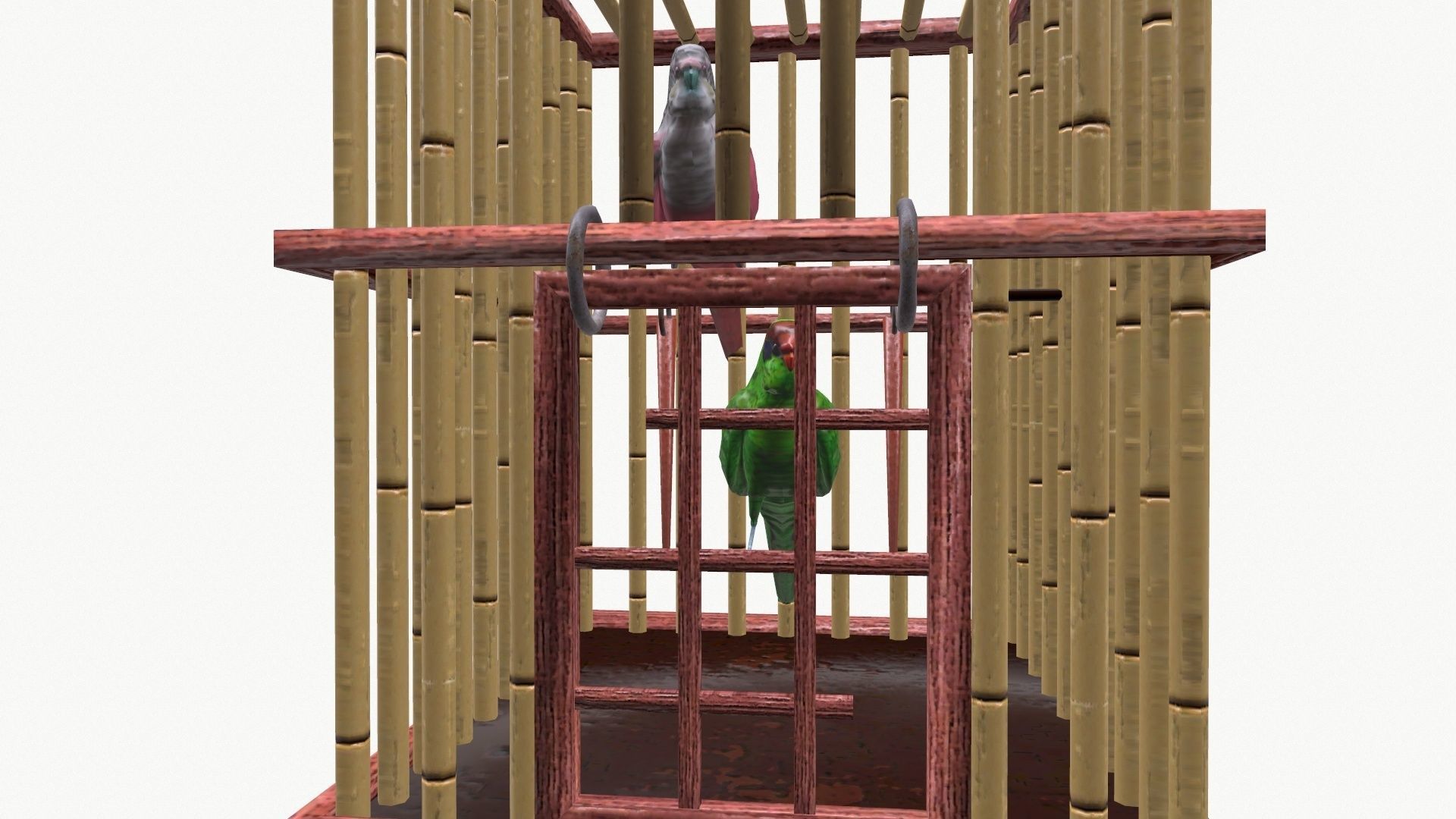 3D model Parakeets in cage VR / AR / low-poly | CGTrader