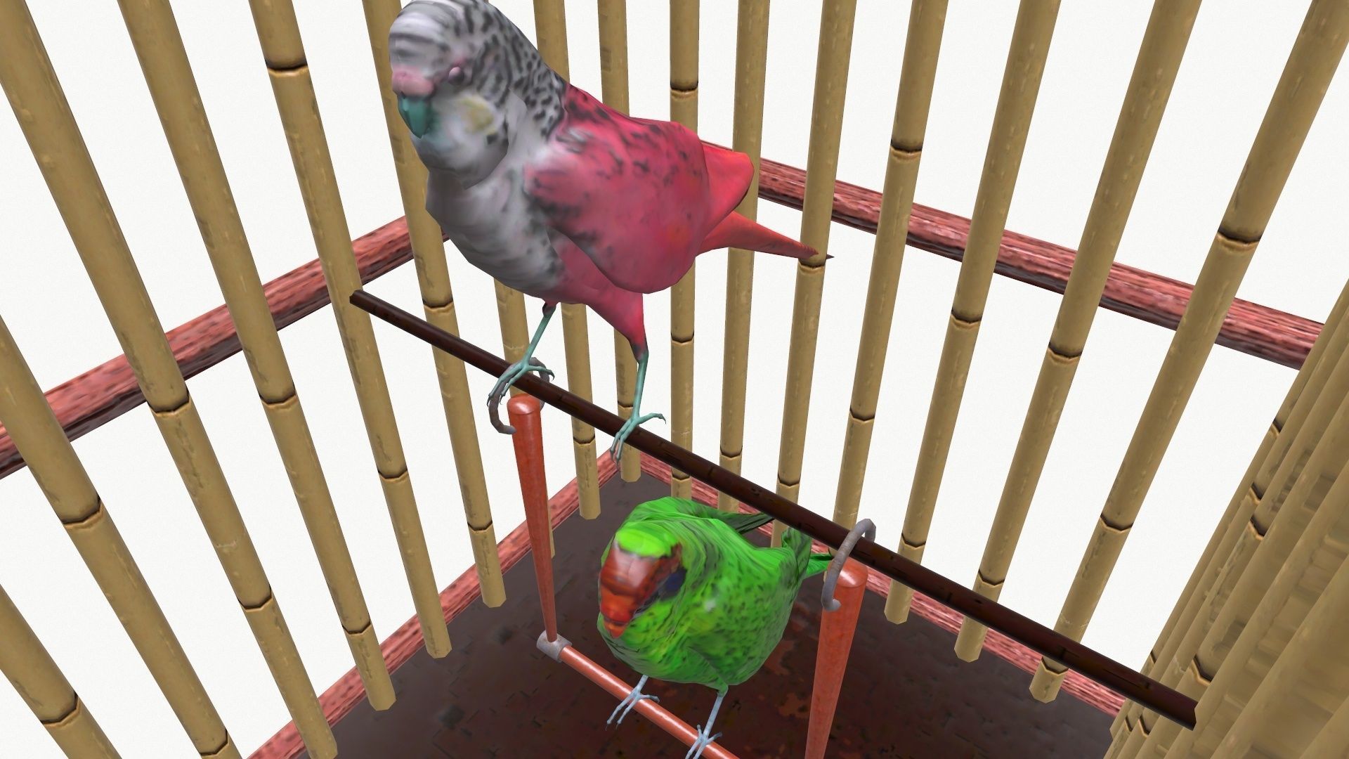 3D model Parakeets in cage VR / AR / low-poly | CGTrader