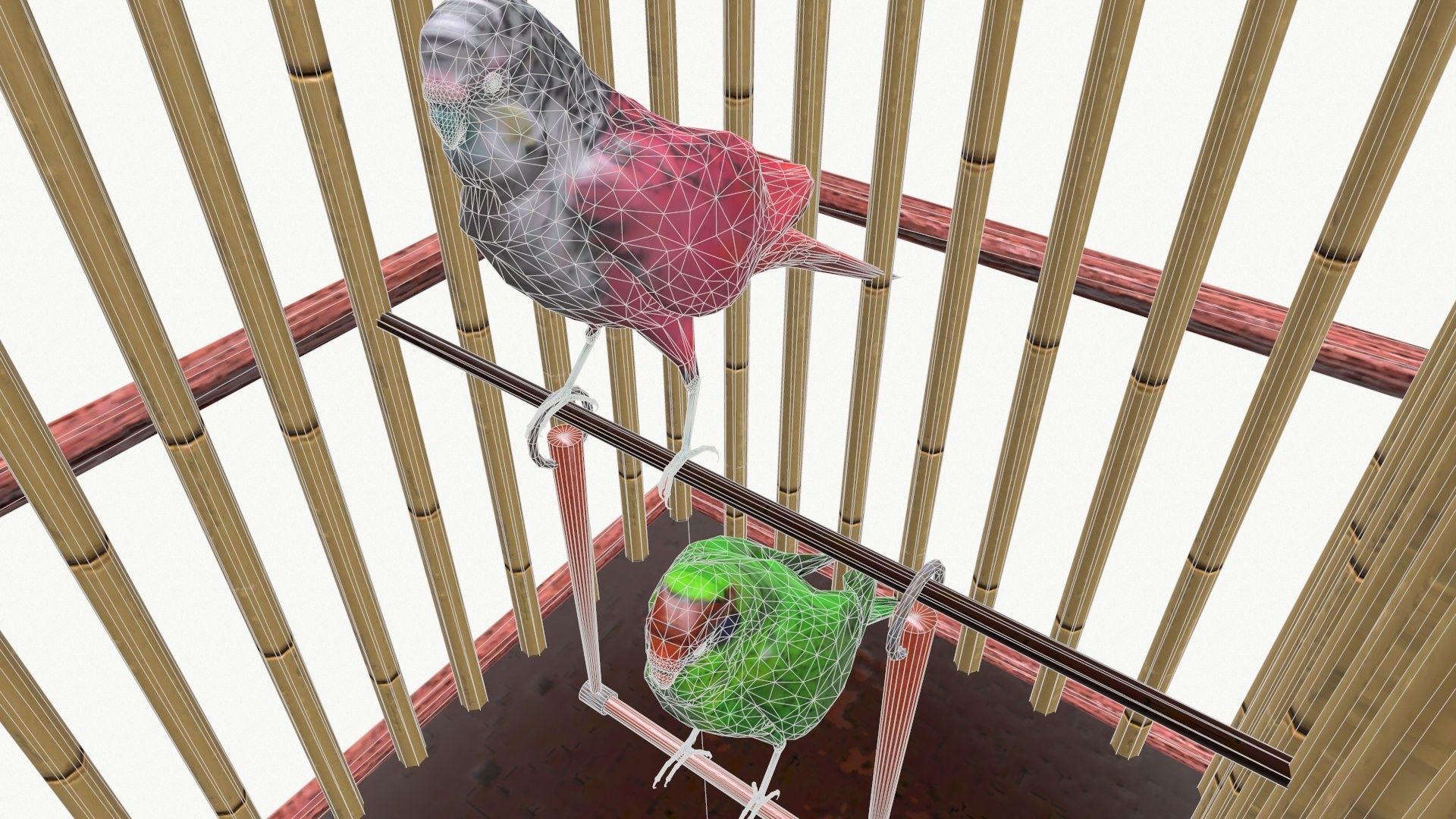 3D model Parakeets in cage VR / AR / low-poly | CGTrader