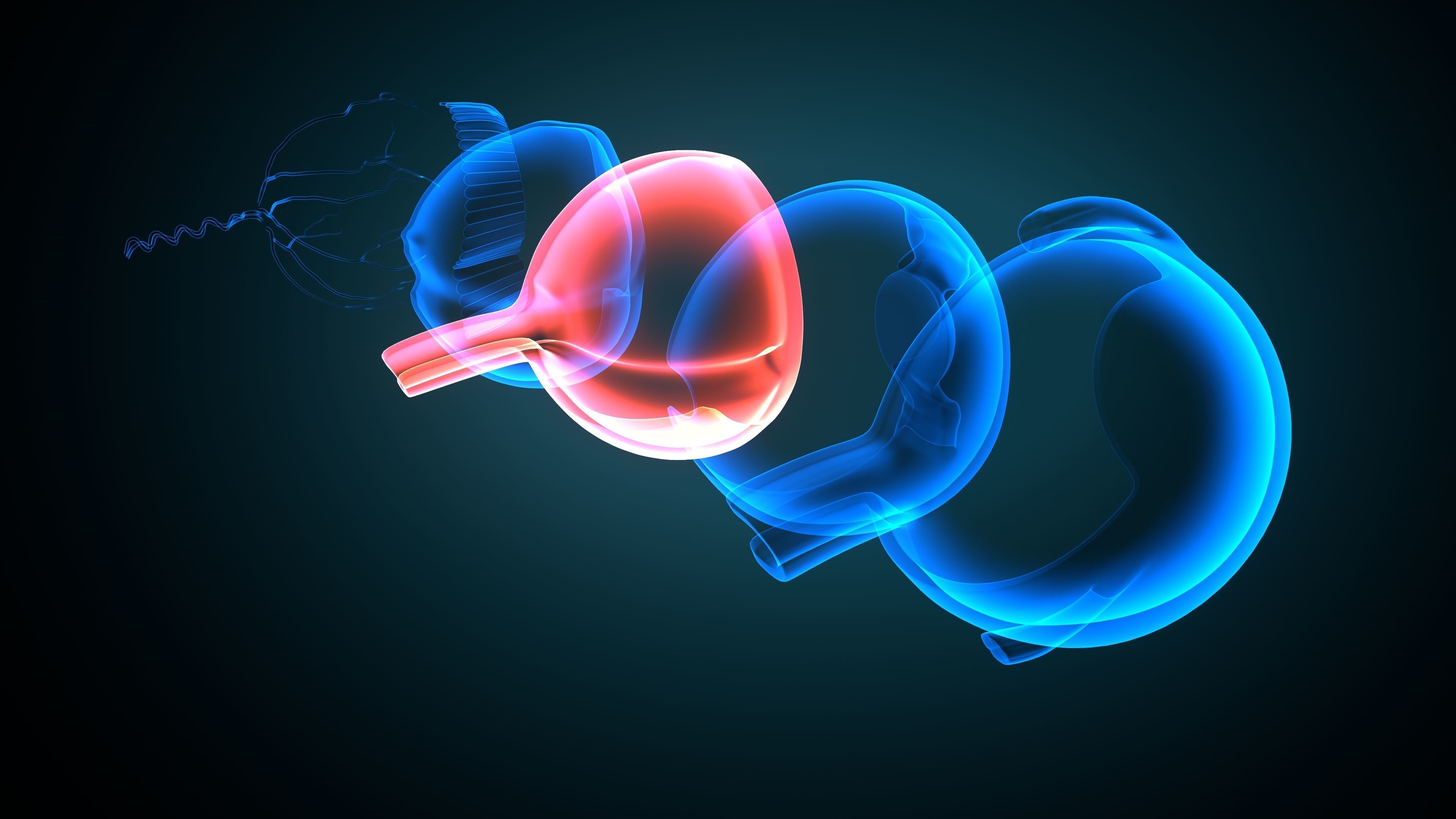 3d human eye anatomy system 3D model | CGTrader