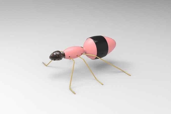 3D model Fauna Ant VR / AR / low-poly | CGTrader