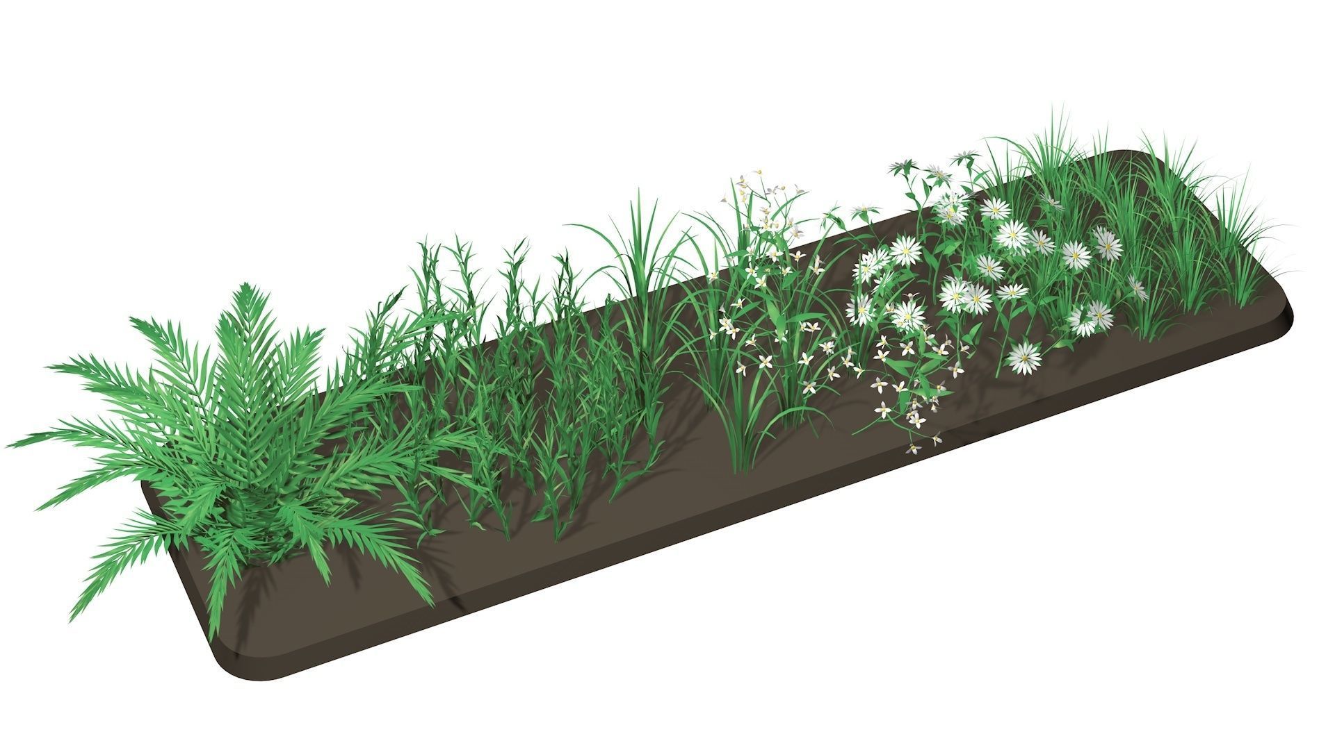 Herbage Various Set 6 piece 3D model | CGTrader