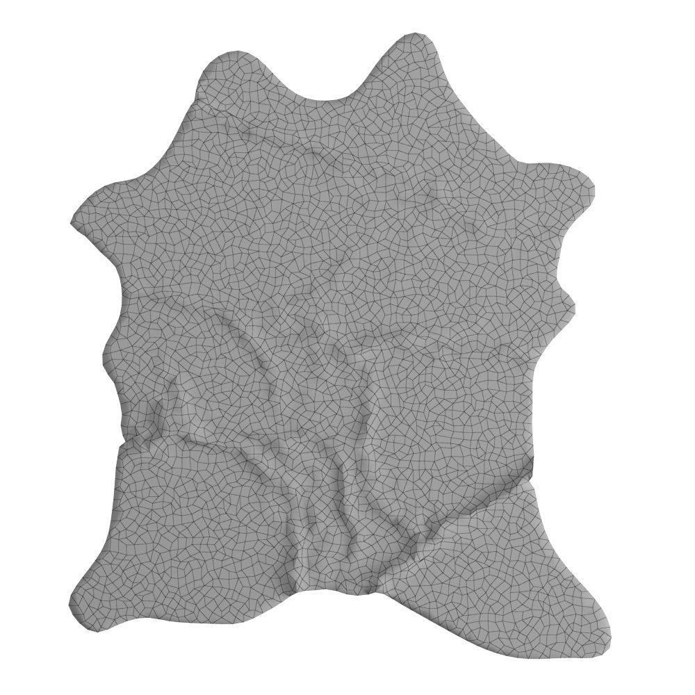 Animal skin rug 16 3D model | CGTrader