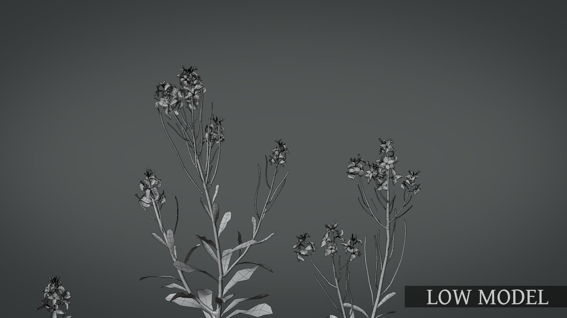 Violet Flower VFX Grace 3D model | CGTrader