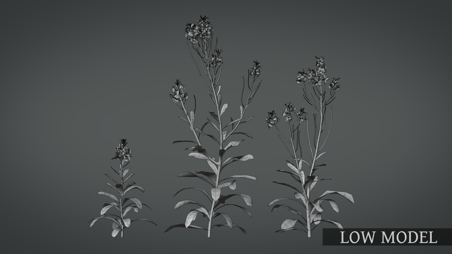 Violet Flower VFX Grace 3D model | CGTrader