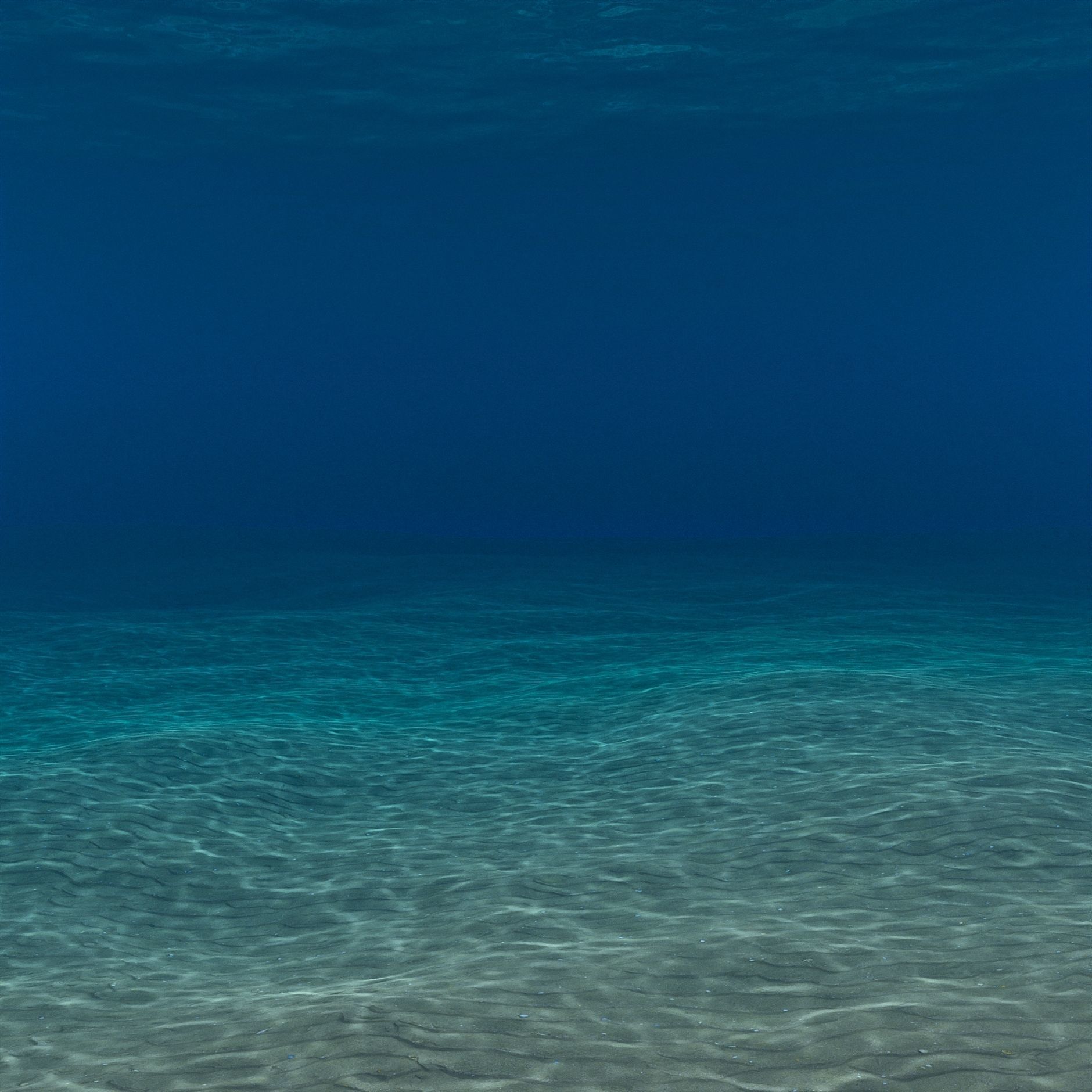 Underwater ocean scene 3D model animated | CGTrader