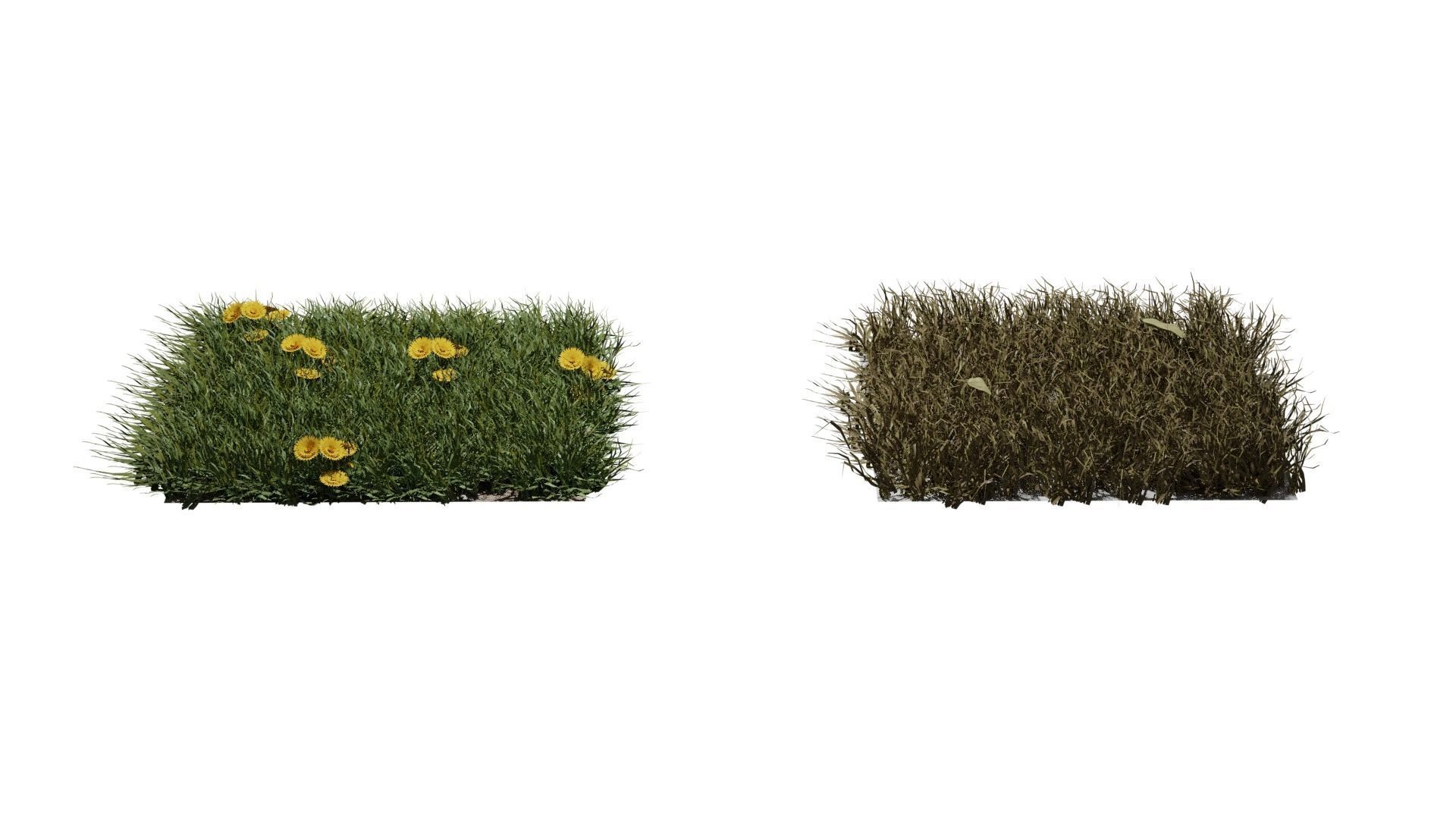 GRASS KIT 3D model | CGTrader