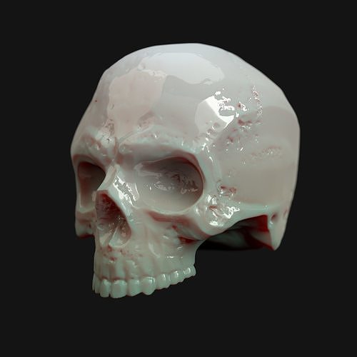 Human stylized skull sculpt 3D model | CGTrader