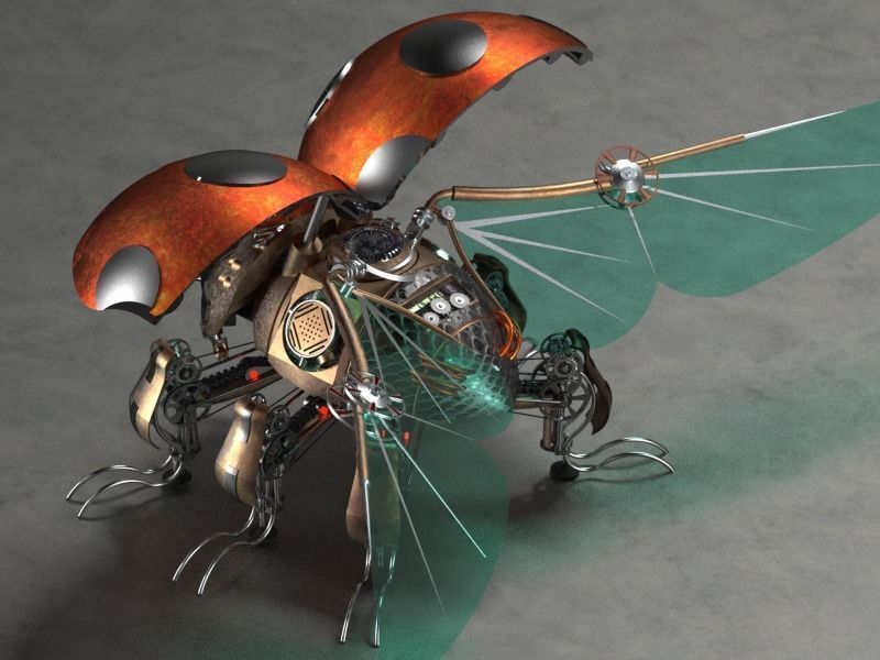 Beetles Bug model 3D model | CGTrader